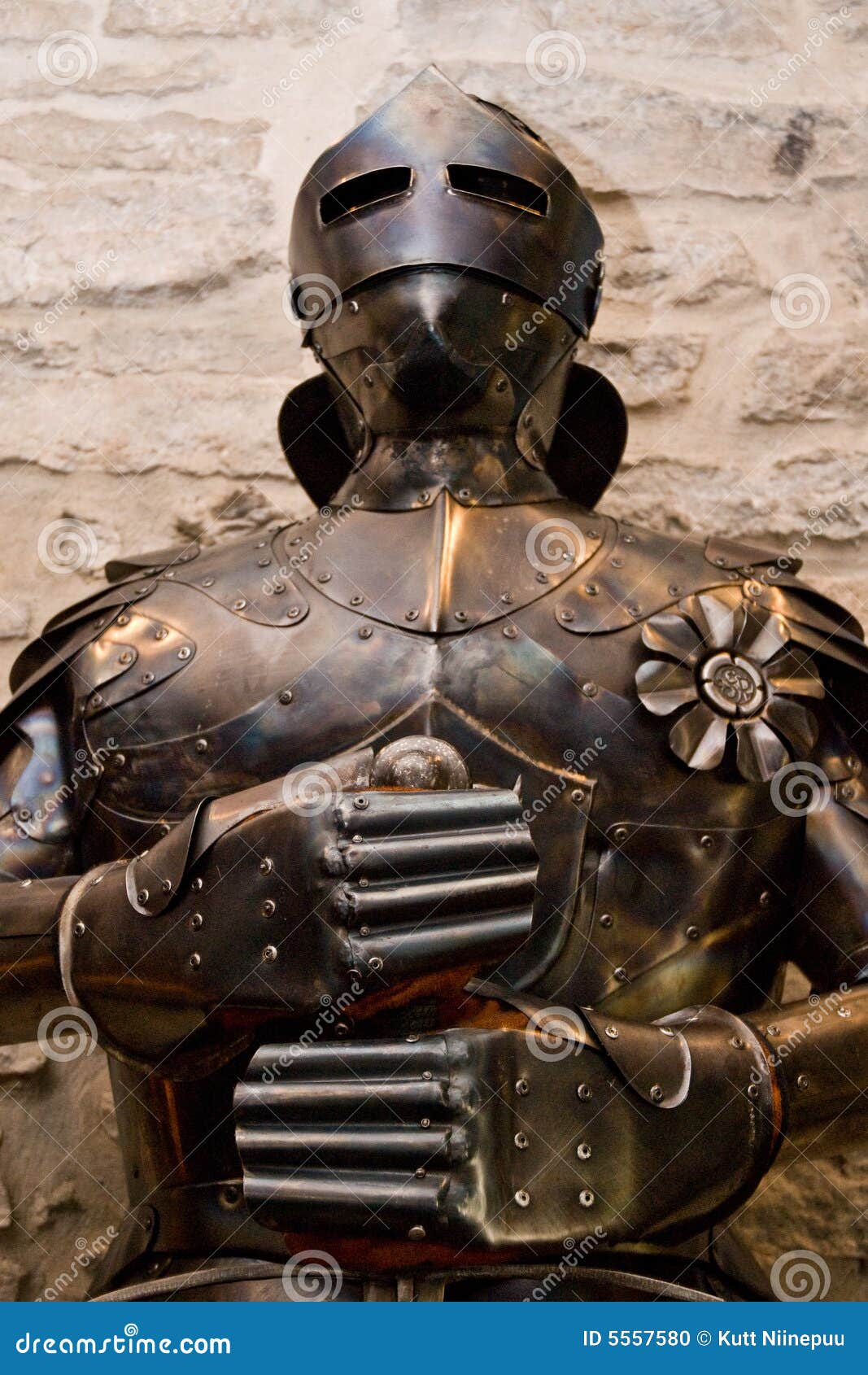 Middeleeuws harnas stock foto. Image of torso, militair - 5557580