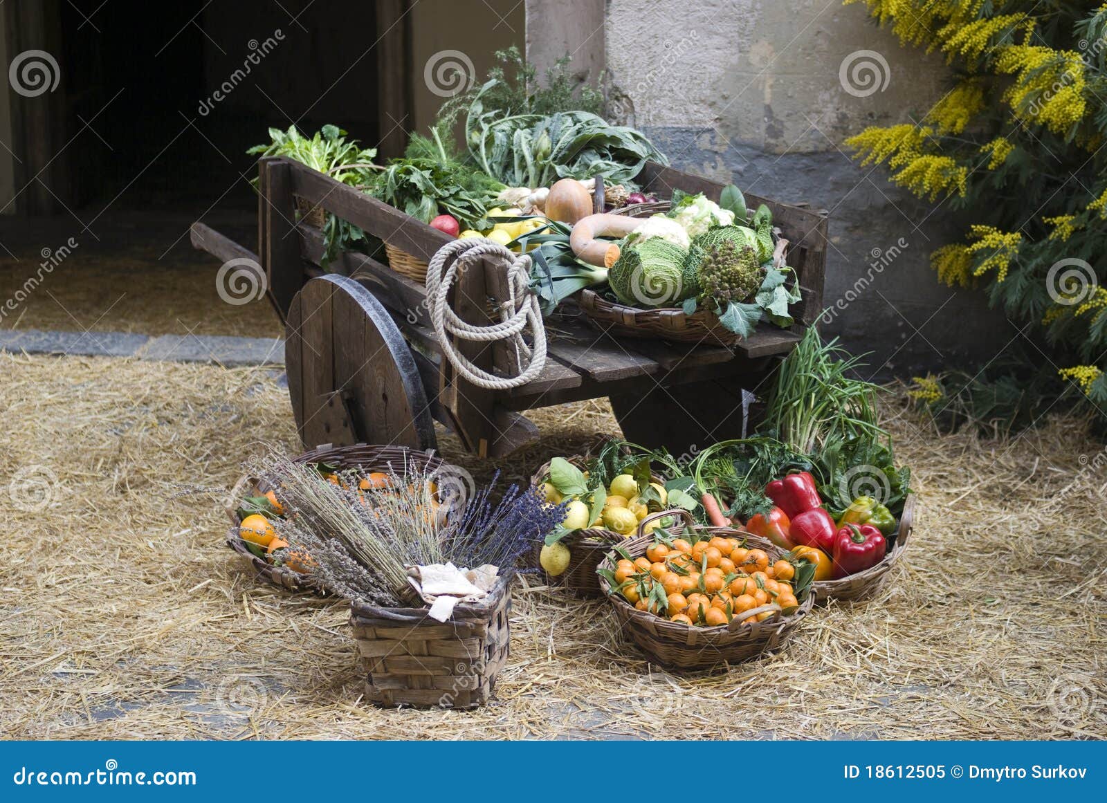 Middeleeuws Marktkraam Verkopend Fruit Stock Afbeelding - Image of ...