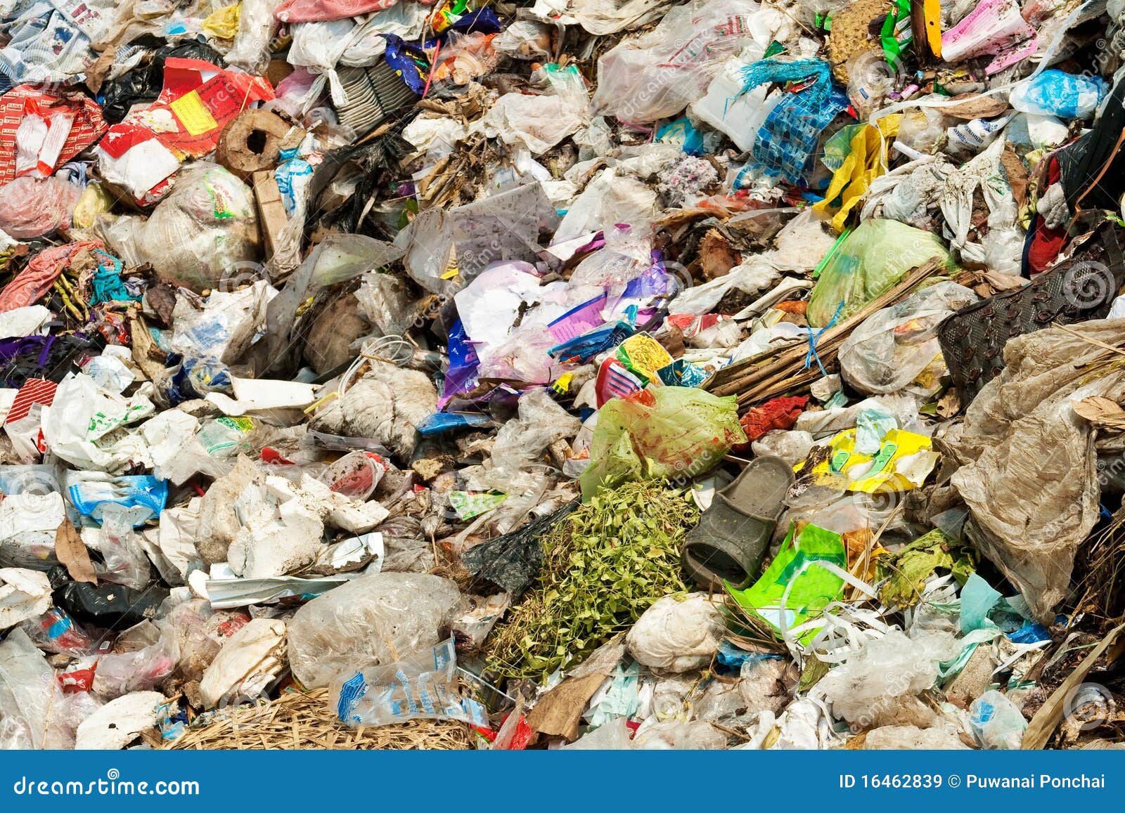 Midden Garbage stock image. Image of abominate, biology - 16462839