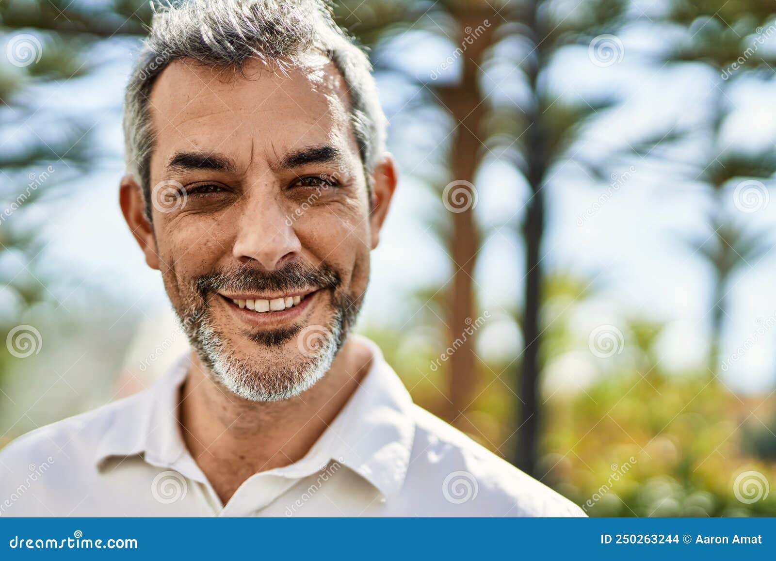 Middle Age Grey-haired Man Smiling Happy Standing at the City Stock ...