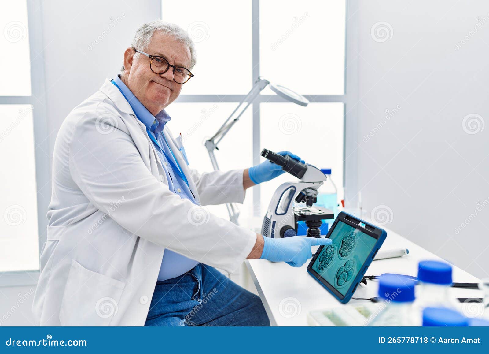 Middle Age Grey-haired Man Wearing Scientist Uniform Looking Embryology ...