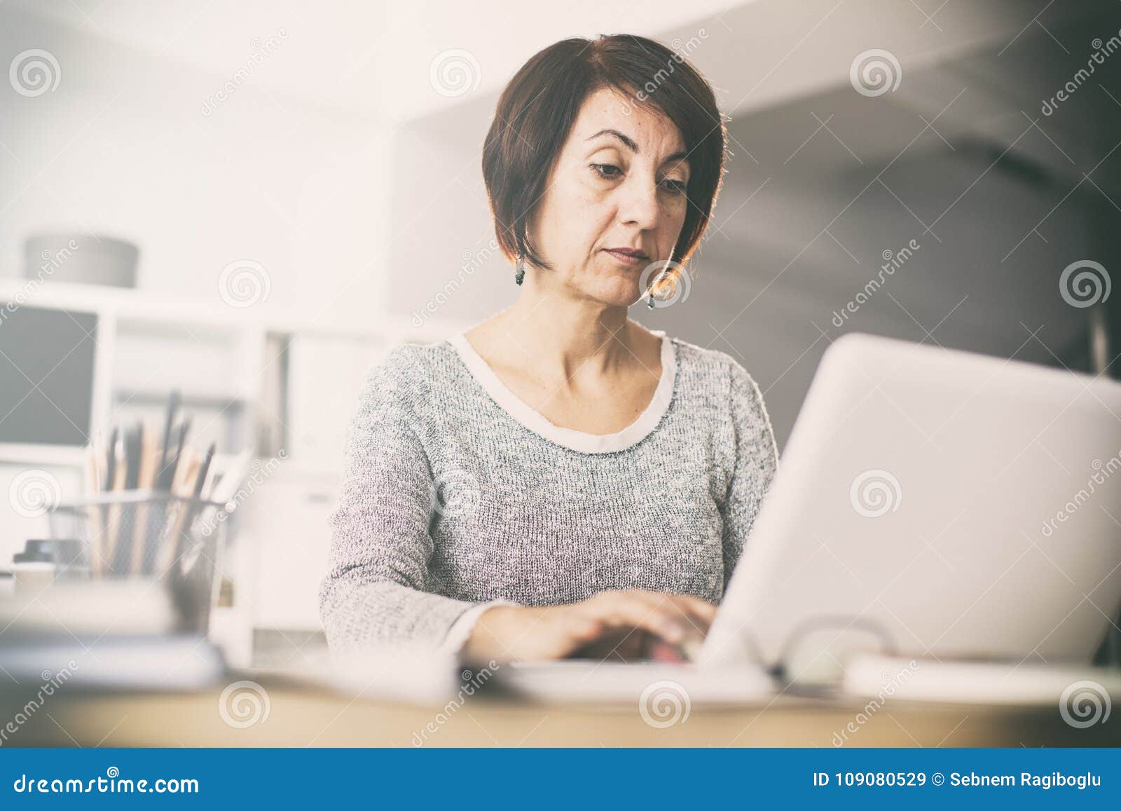 Middle Age Woman Using Computerpt Stock Image - Image of technology ...