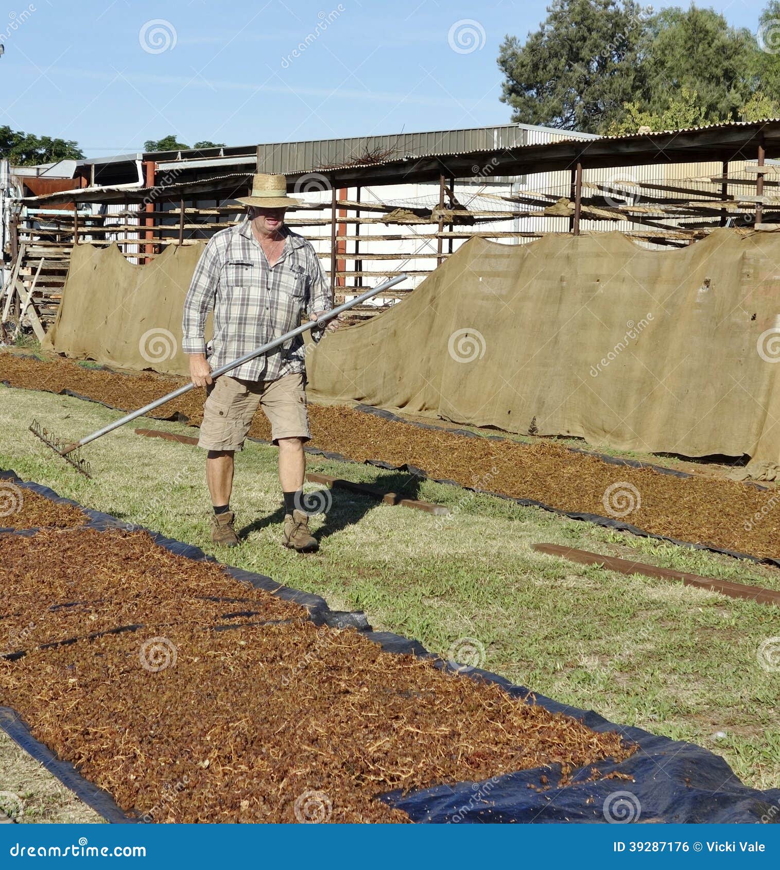 Middle-aged Labourer Checking His Work. Stock Photo - Image of ...