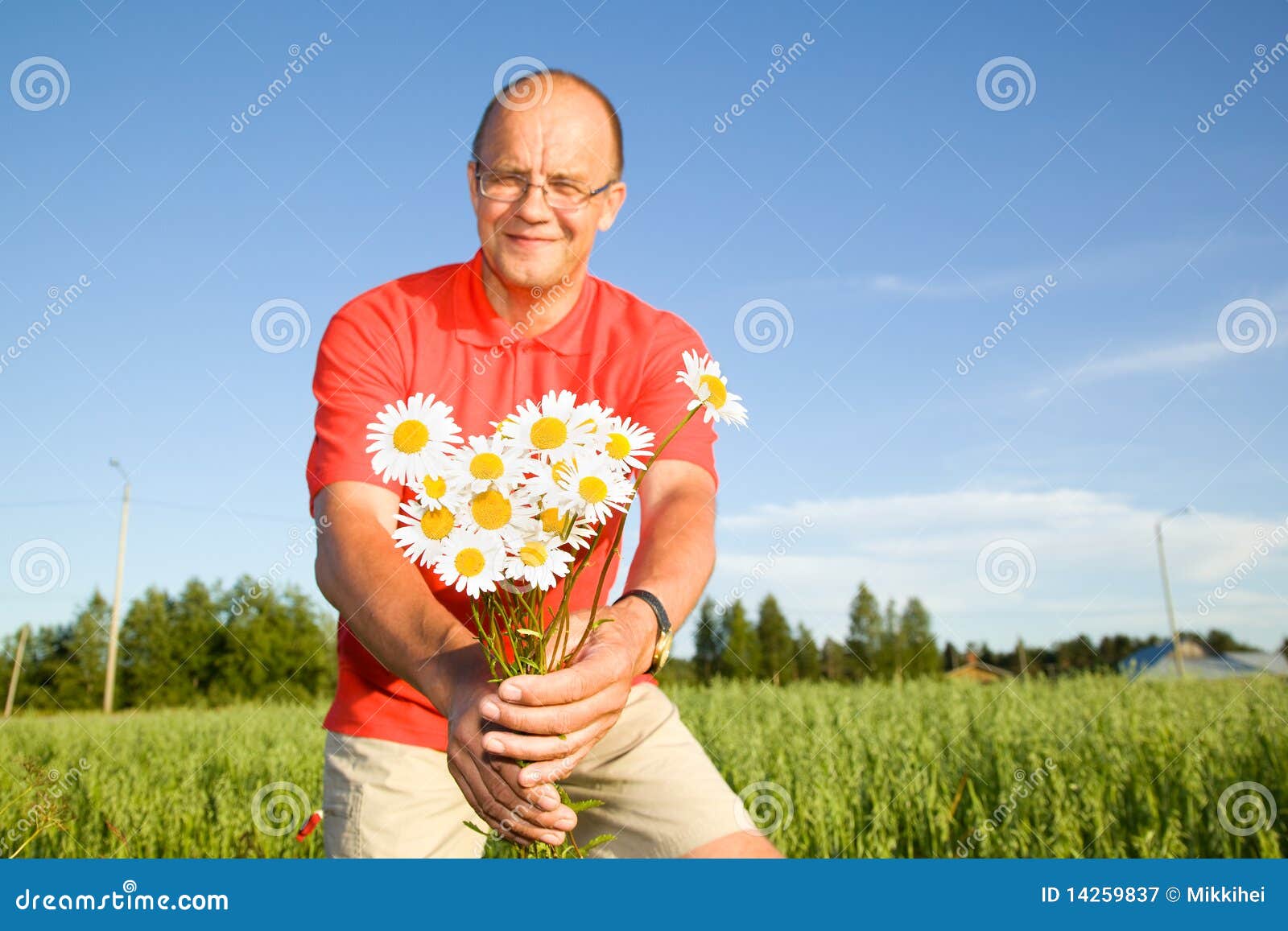 Middle-aged Man Giving Flowers Stock Image - Image of aged, aging: 14259837