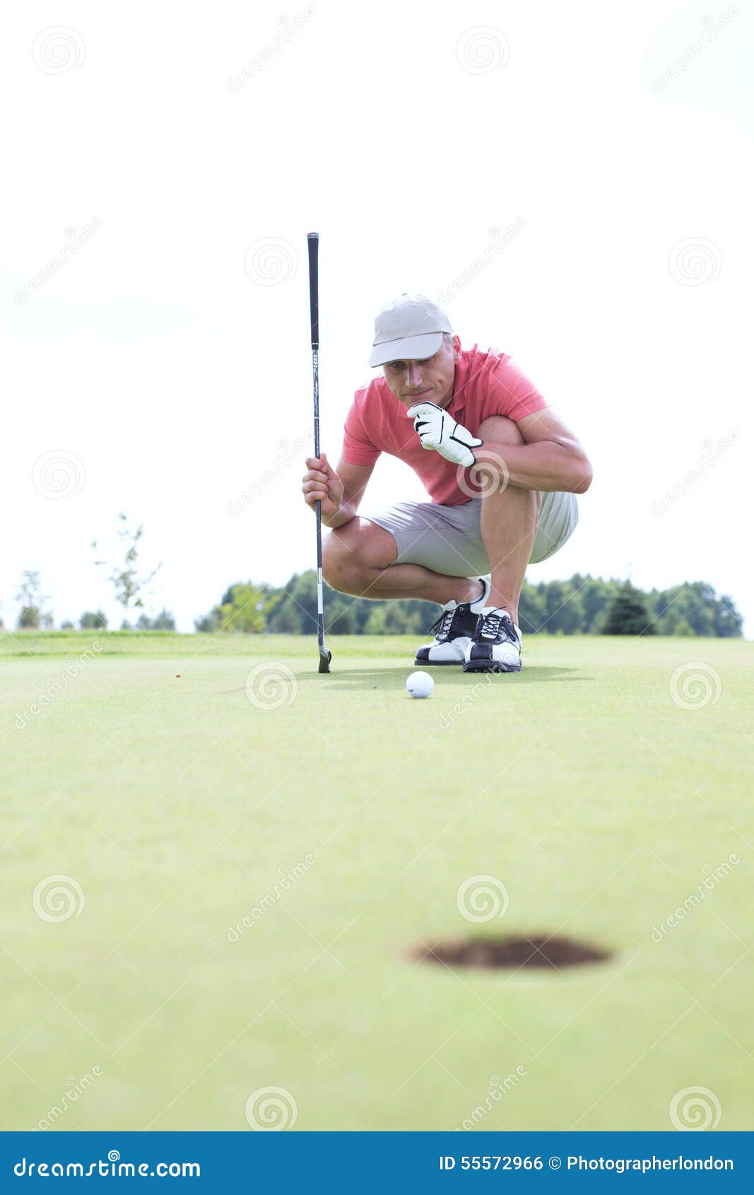 Middle-aged Man Looking at Ball while Crouching on Golf Course Stock ...