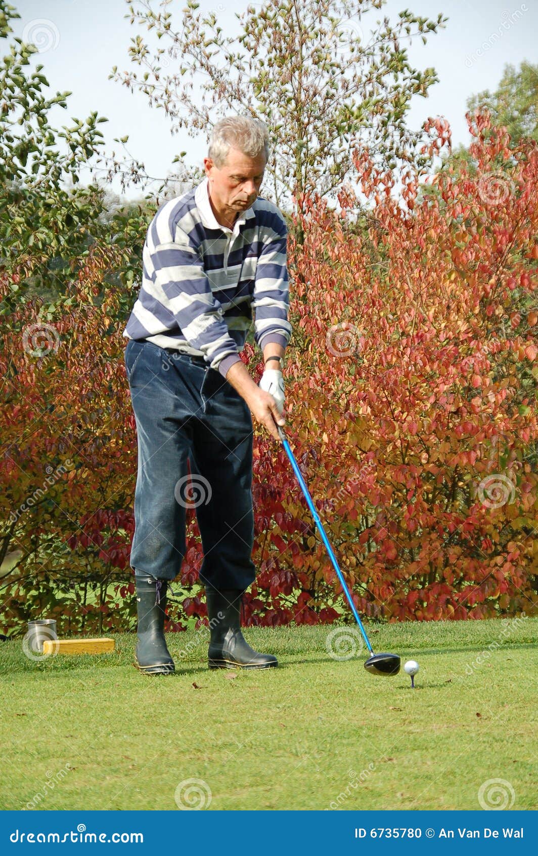 Middle Aged Man Playing Golf Stock Photo - Image of addressing ...