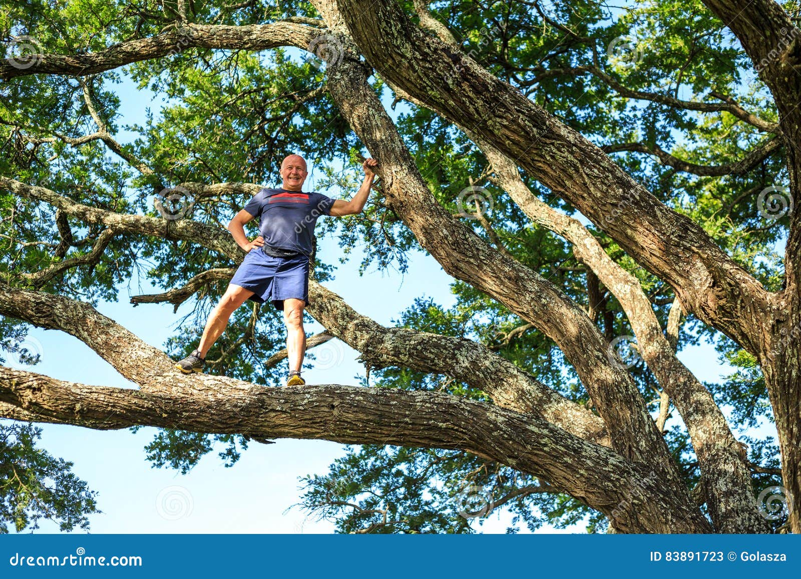 Middle Aged Man Proudly Standing on Tree Branch Stock Image - Image of ...