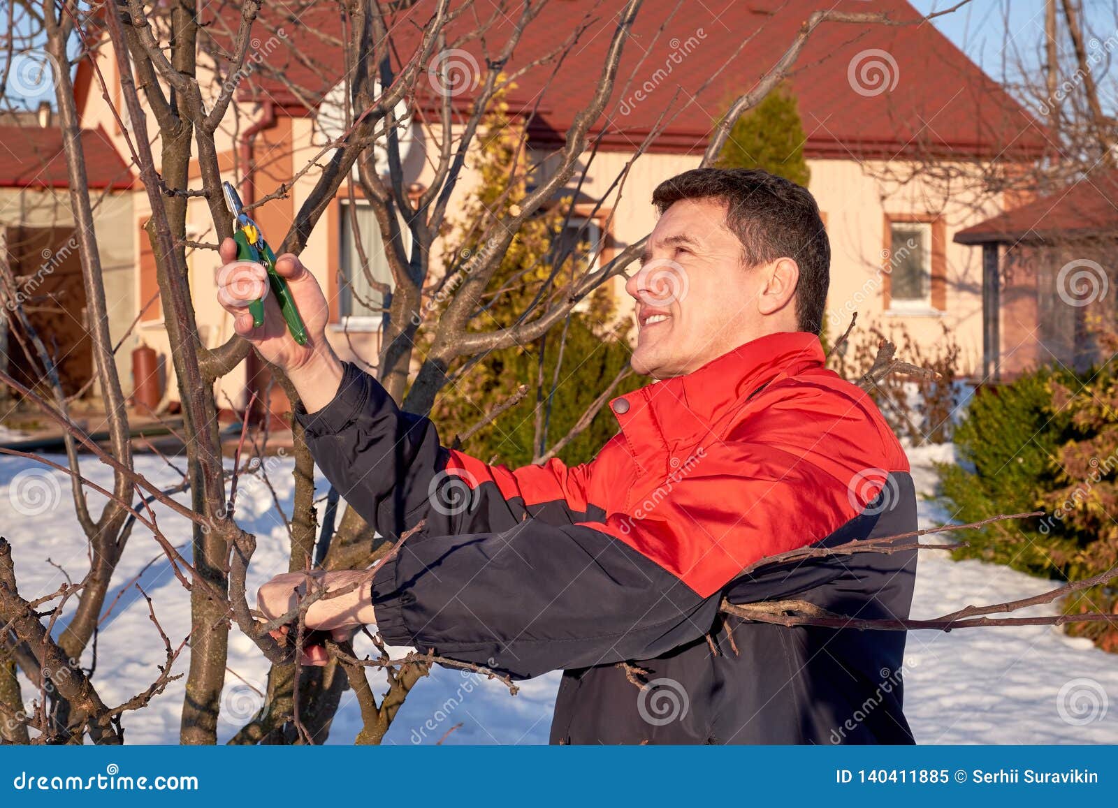 Middle Aged Man Pruning Tree Branches Early Spring Stock Image - Image ...