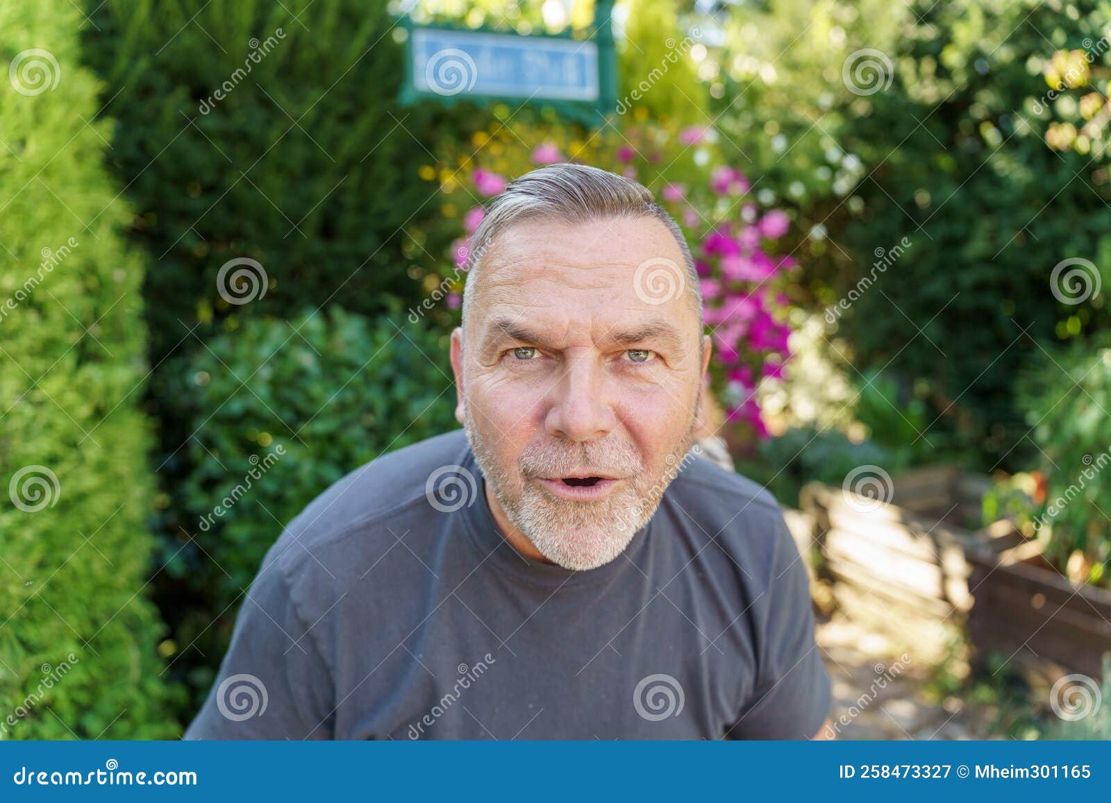 Middle Aged Man Speaking Staring Intently into the Camera Stock Image ...