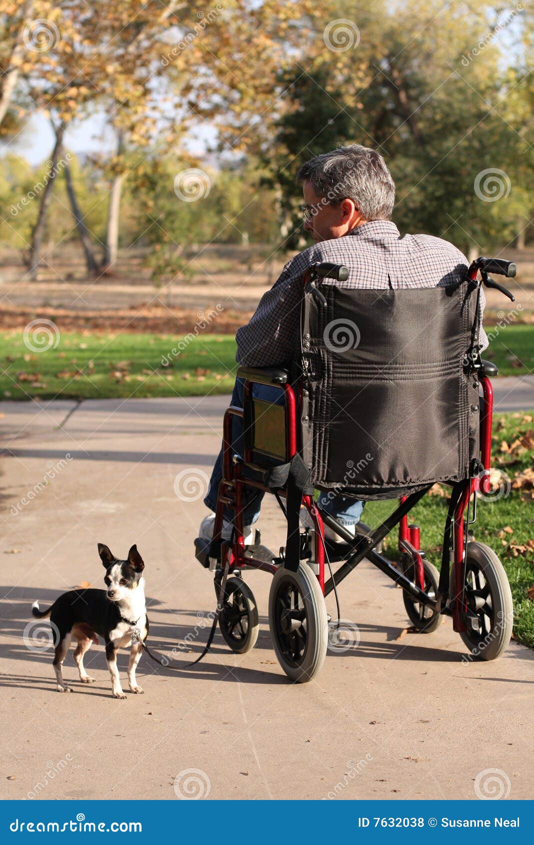 An Aged Wheelchair Is Seen Resting Inside A Deteriorated Building, An ...