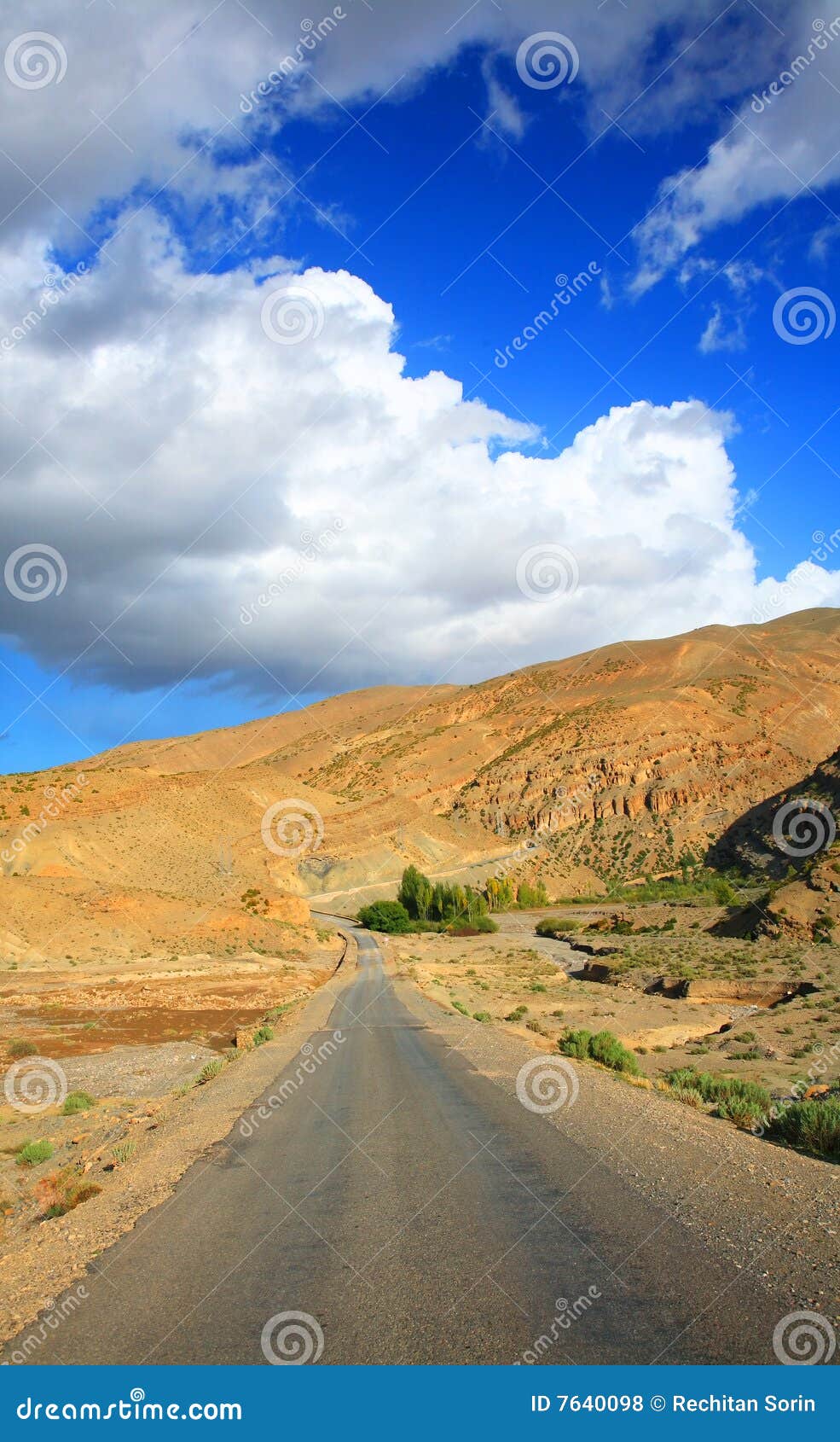 Middle Atlas Mountains stock photo. Image of hills, tree - 7640098