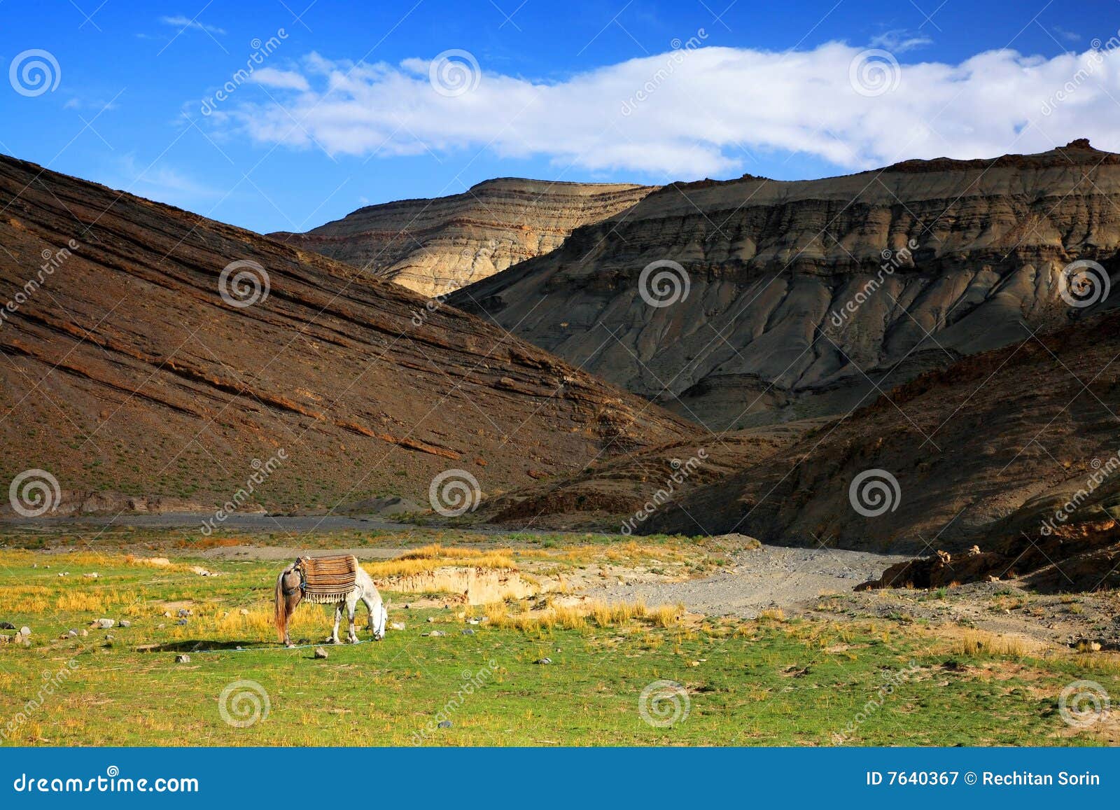 Middle Atlas Mountains stock image. Image of travel, atlas - 7640367