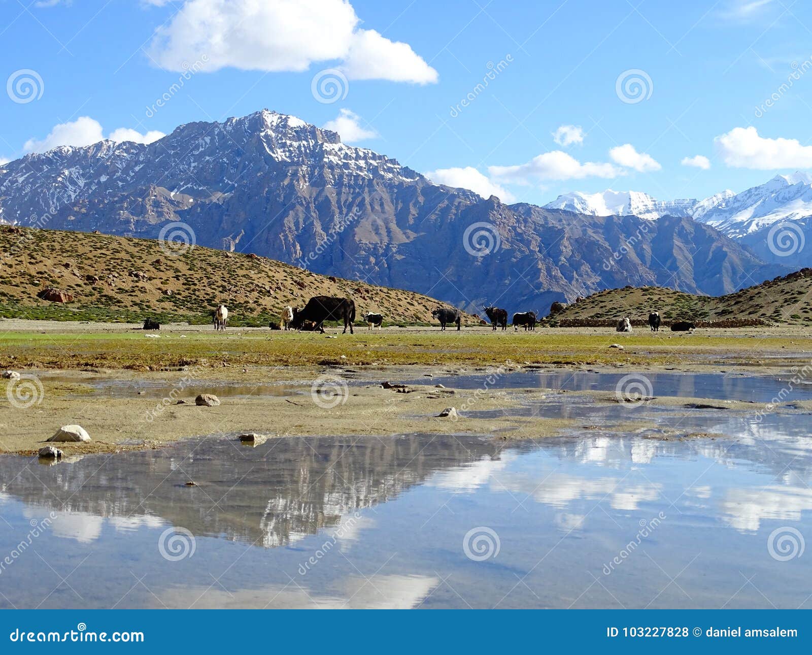 In the middle of the desrt stock photo. Image of spiti - 103227828