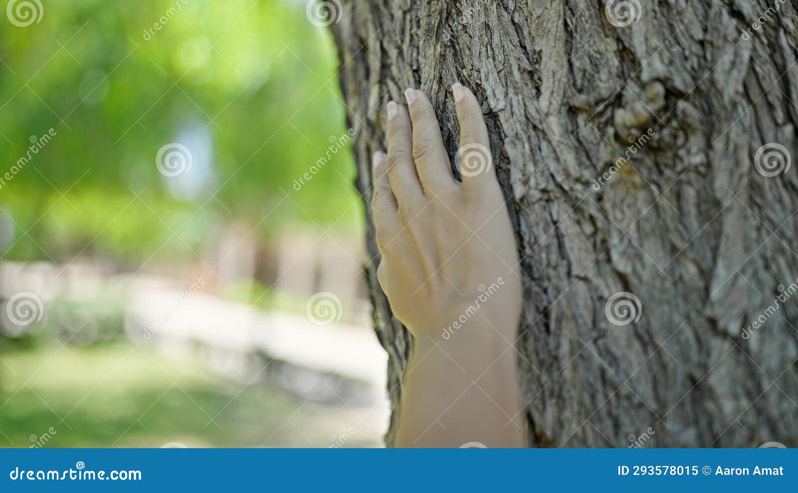 Middle Eastern Woman Touching Tree at Park Stock Image - Image of ...