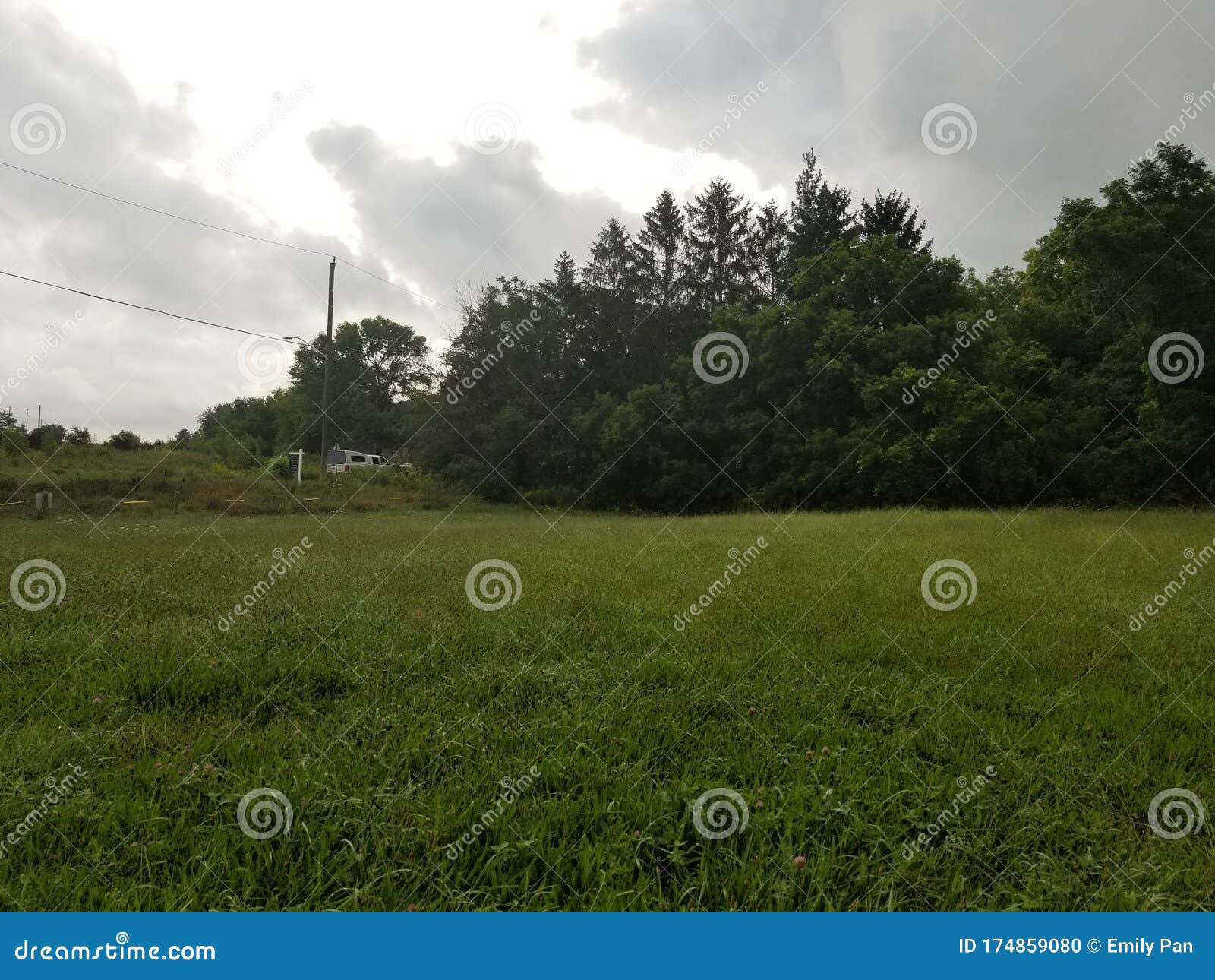 In the Middle of an Empty Field Stock Photo - Image of grassland, farm ...
