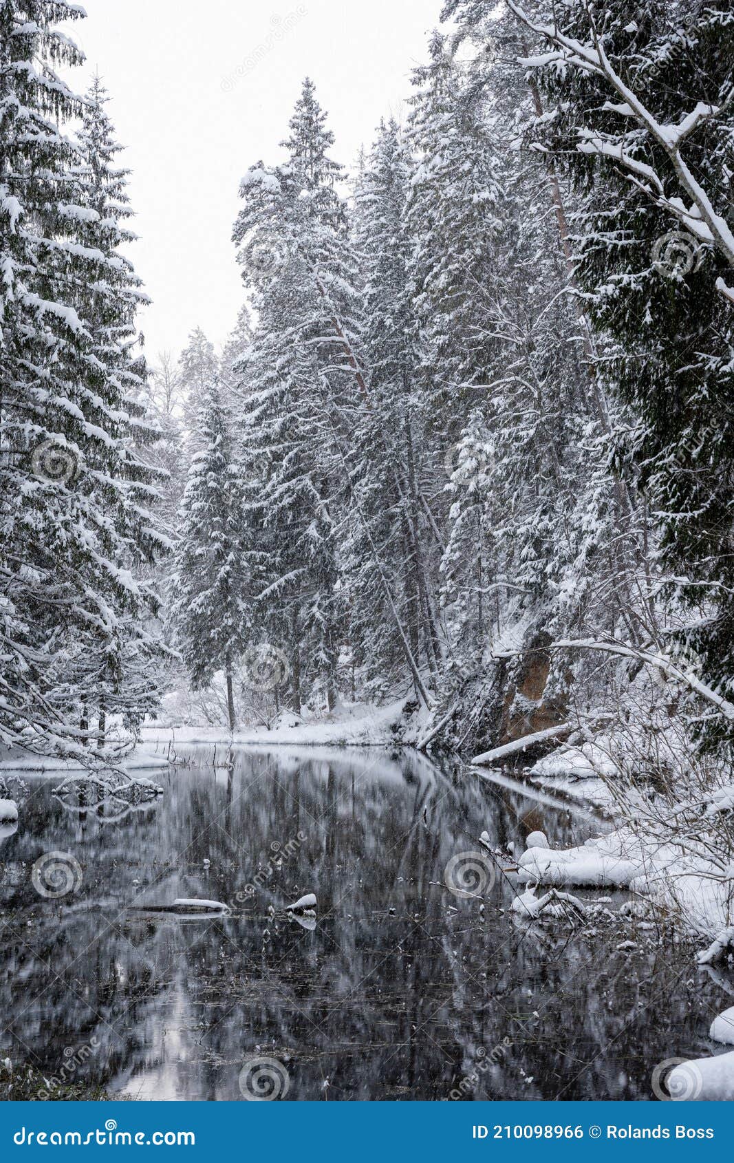 N the Middle of the Forest is a Cliff with a Reservoir of Water Stock ...
