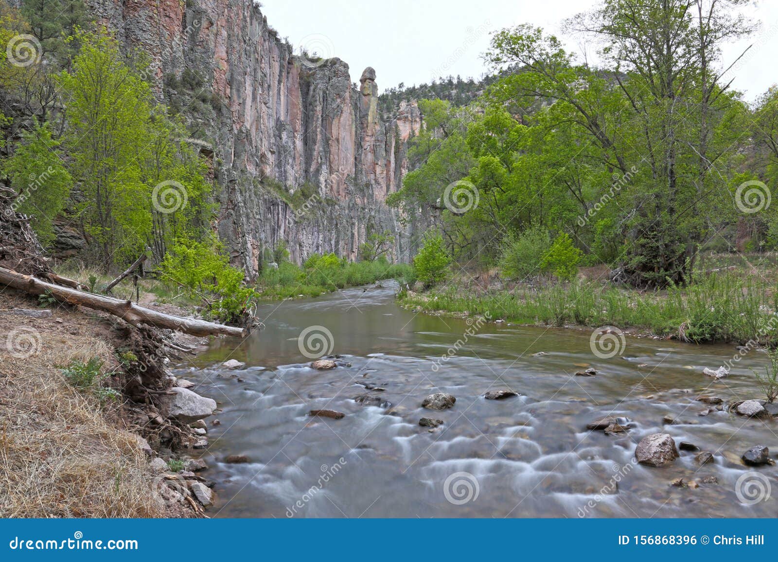 Middle Fork Gila River stock photo. Image of canyon - 156868396