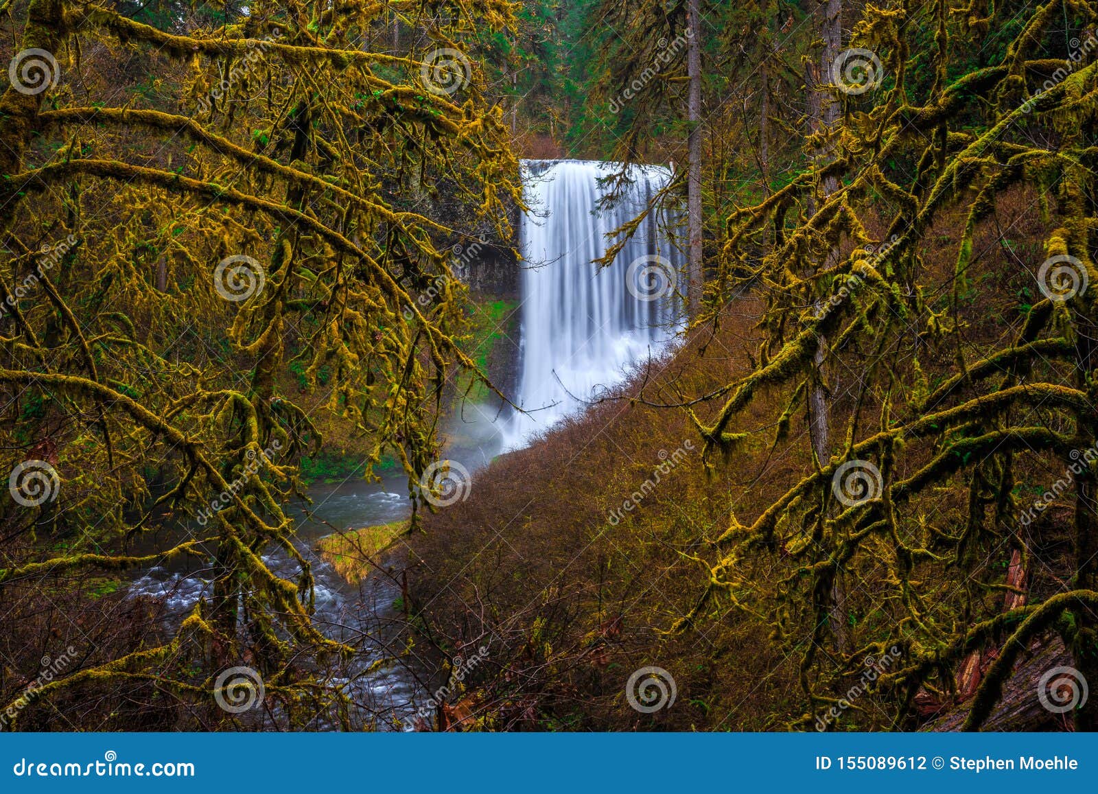 Middle North Falls View at Silver Falls State Park Stock Photo - Image ...