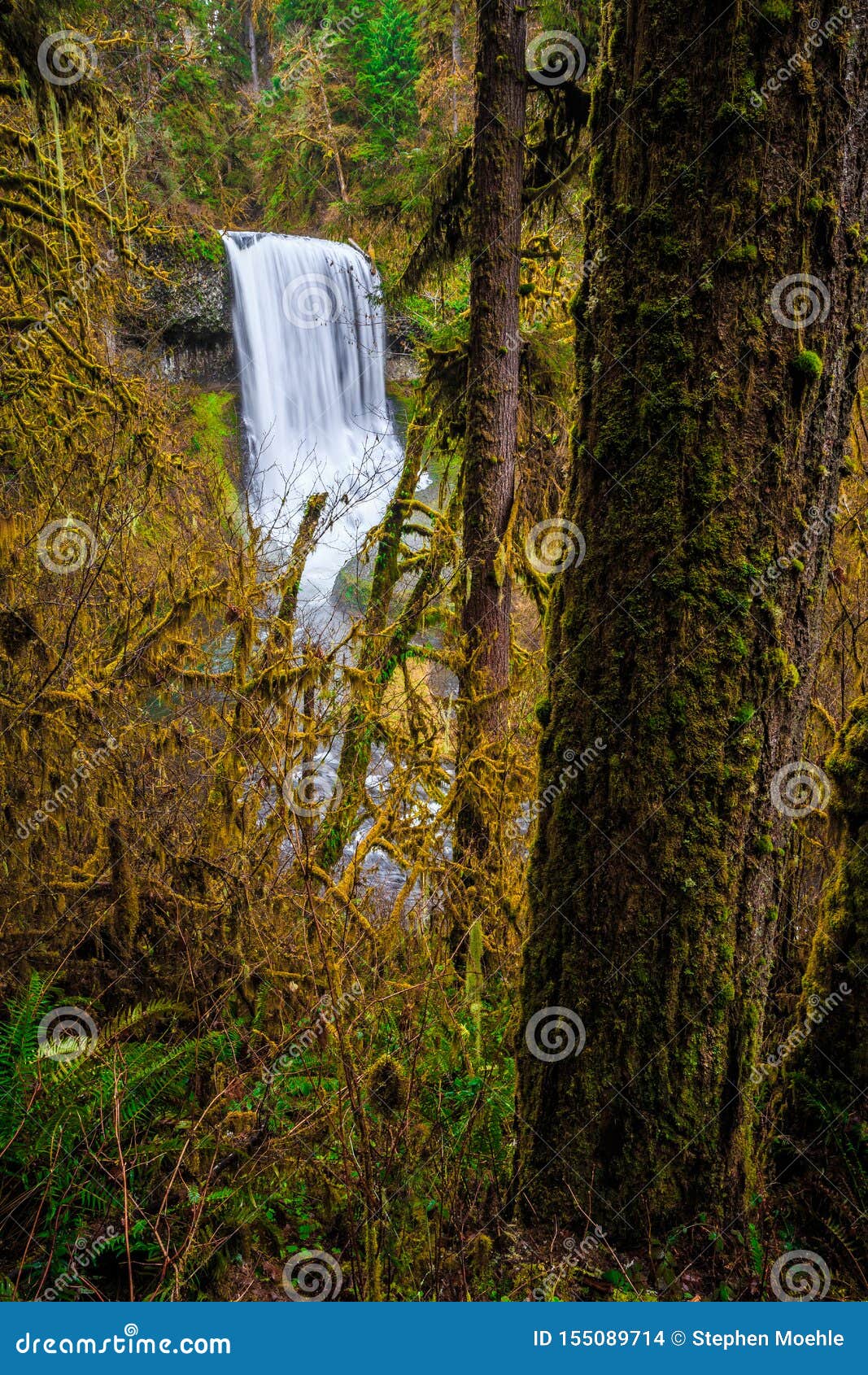 Middle North Falls View at Silver Falls State Park Stock Photo - Image ...