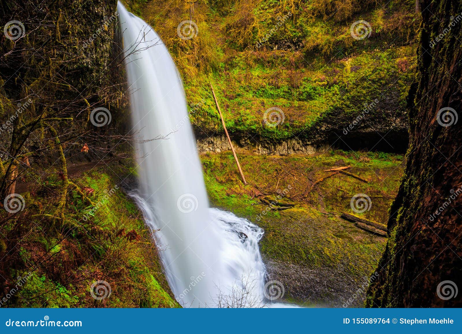 Middle North Falls View at Silver Falls State Park Stock Photo - Image ...