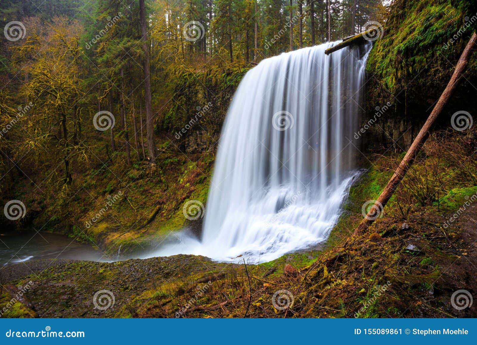 Middle North Falls View at Silver Falls State Park Stock Image - Image ...