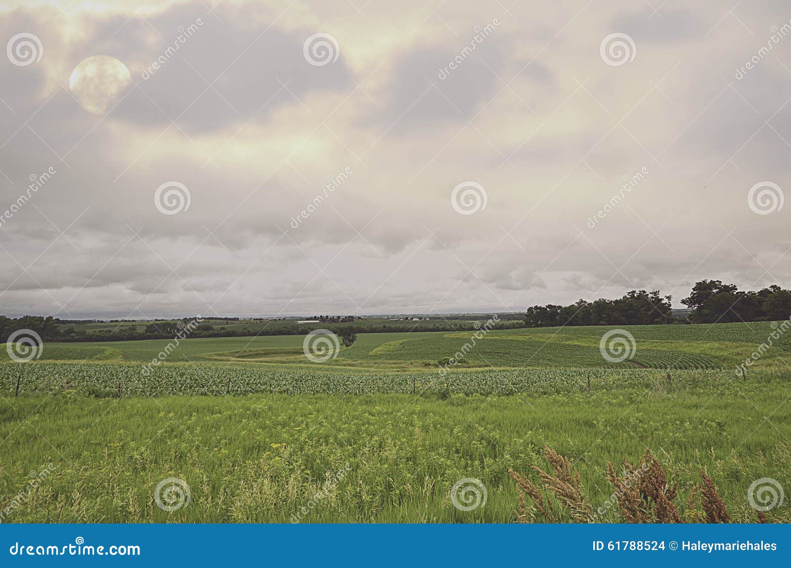 Middle of Nowhere stock photo. Image of pastel, nature - 61788524