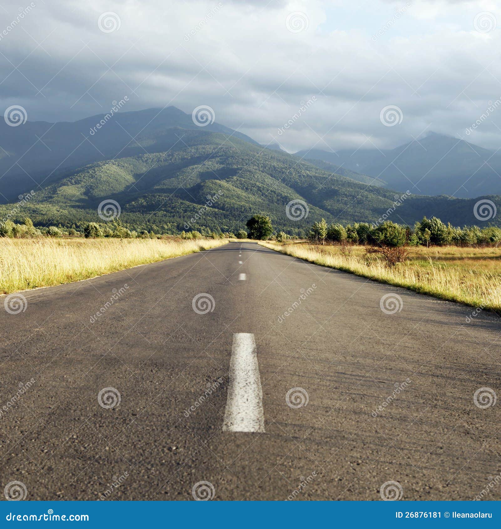 Middle of the road stock image. Image of road, grass - 26876181