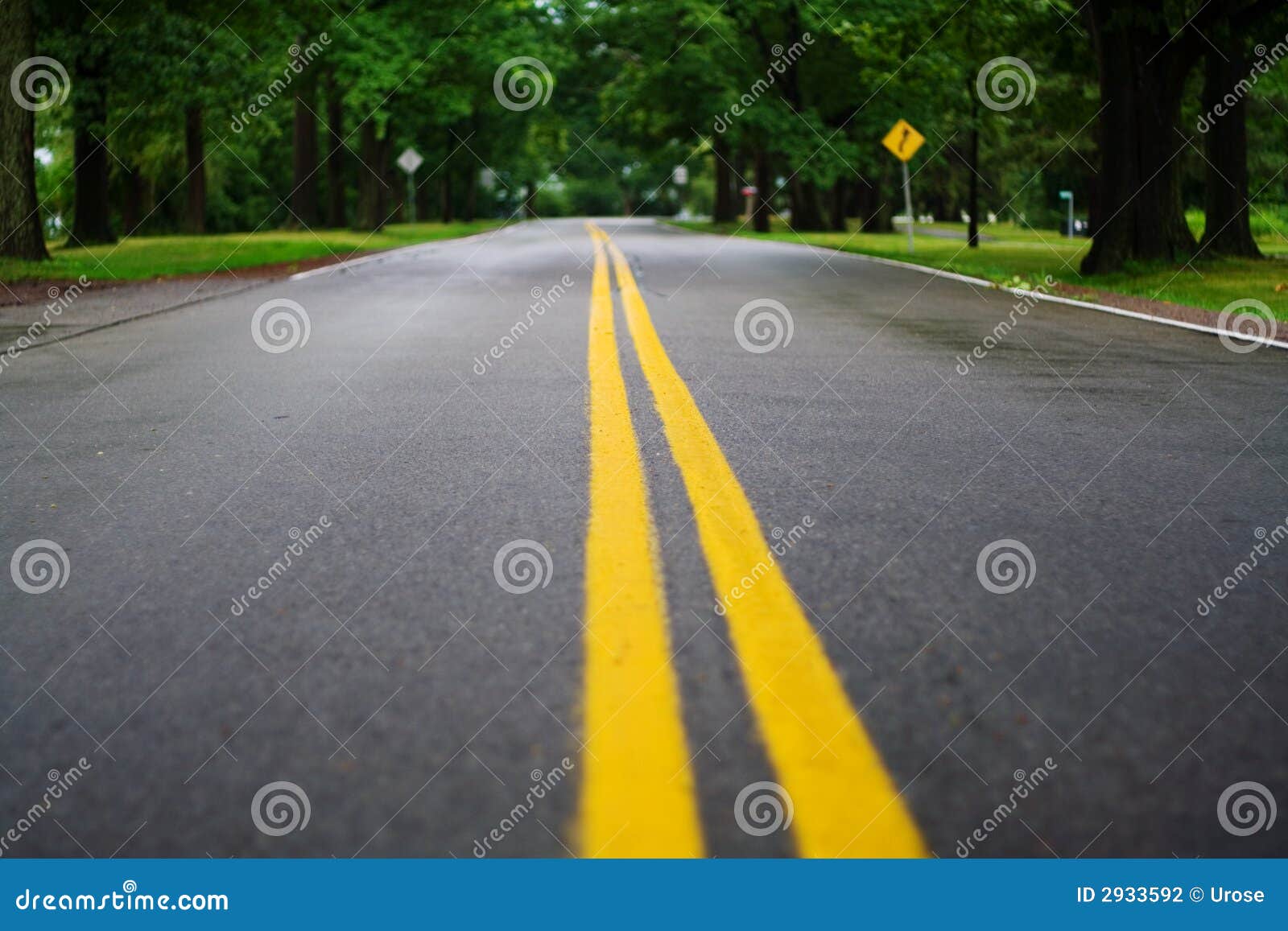 Middle of the Road stock photo. Image of asphalt, destination - 2933592