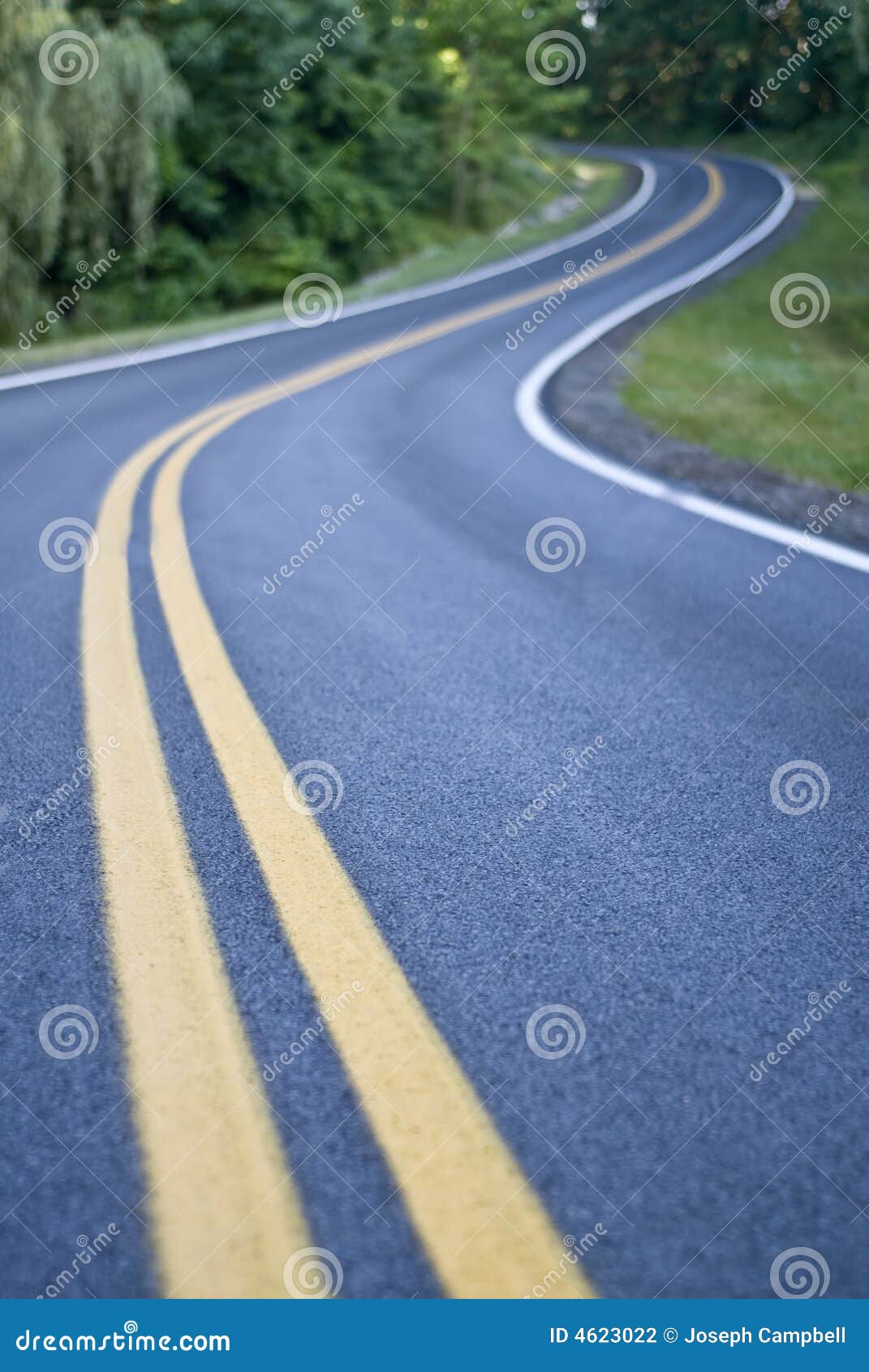 Middle of the Road stock photo. Image of road, rural, curve - 4623022