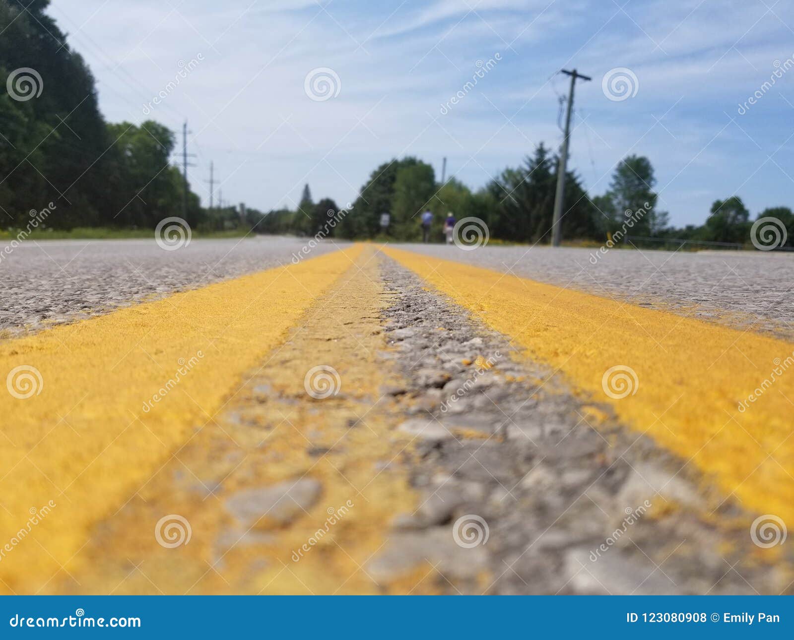Middle of the Road stock photo. Image of road, traffic - 123080908