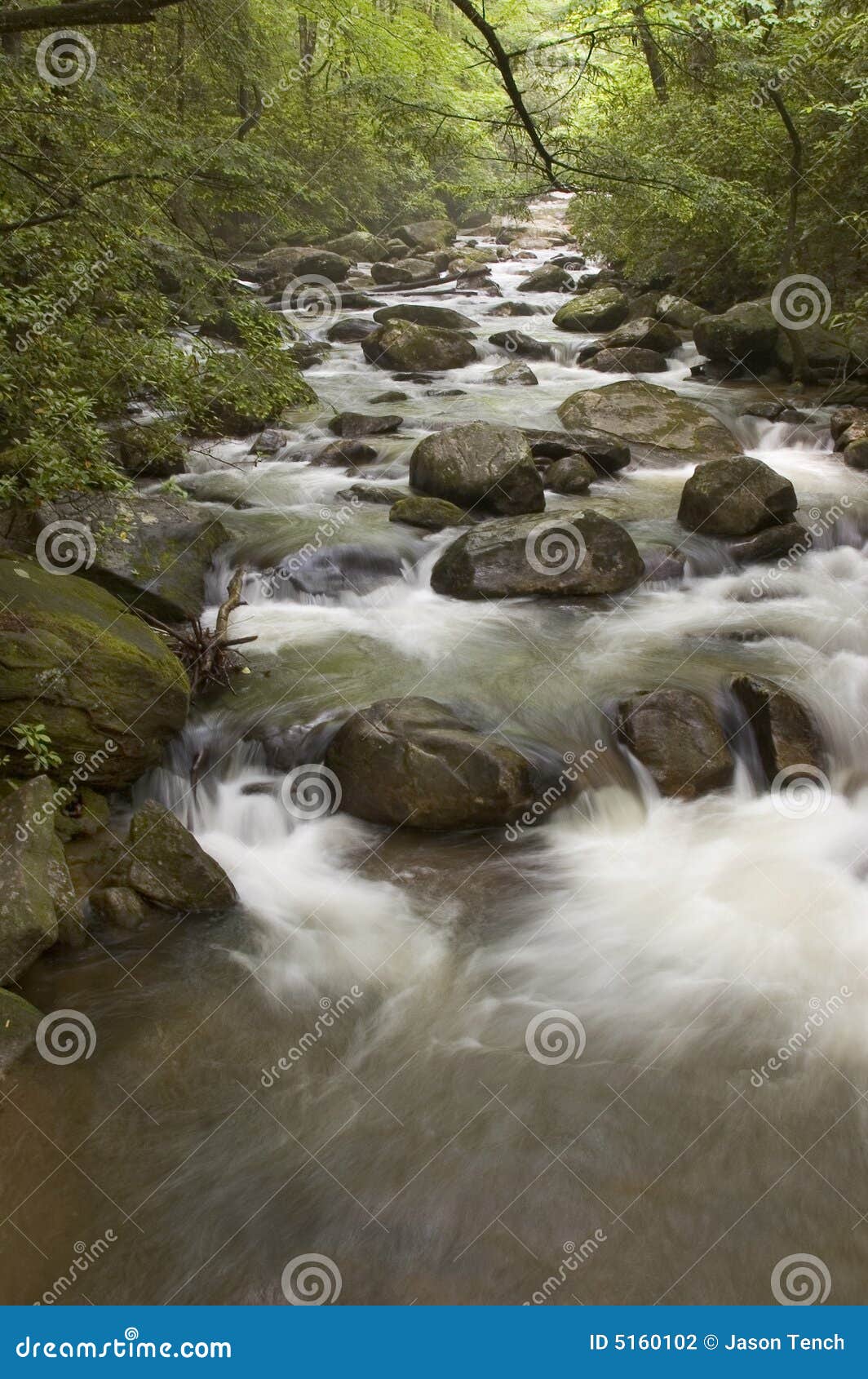 Middle Saluda River stock photo. Image of creek, ecology - 5160102