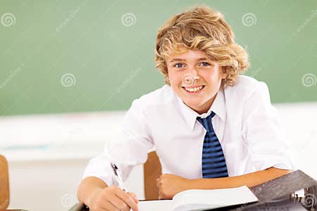 Middle school boy stock photo. Image of happy, file, portrait - 29699018