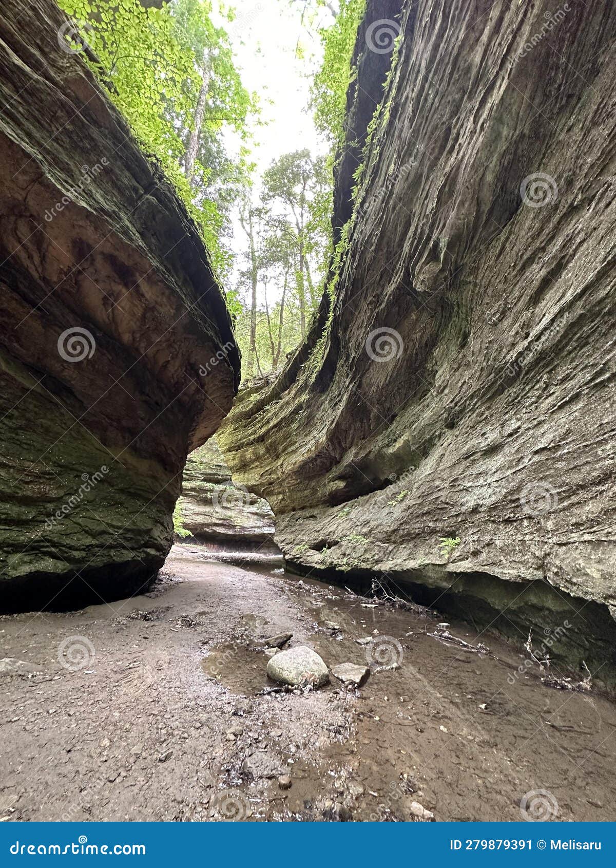 In the Middle of Two Large Cliffs Stock Image - Image of large, tree ...
