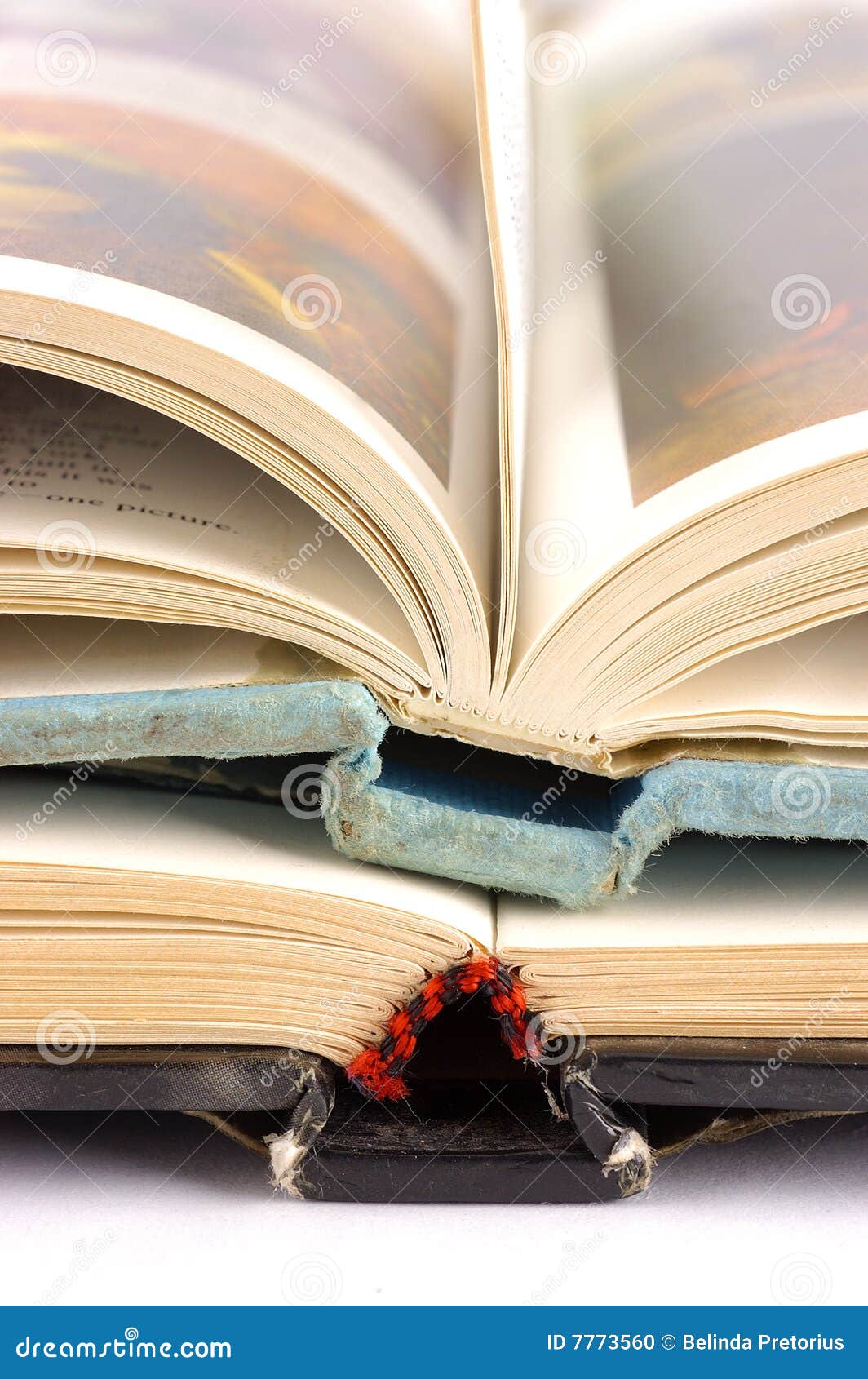 Middle of two open books stock photo. Image of library - 7773560