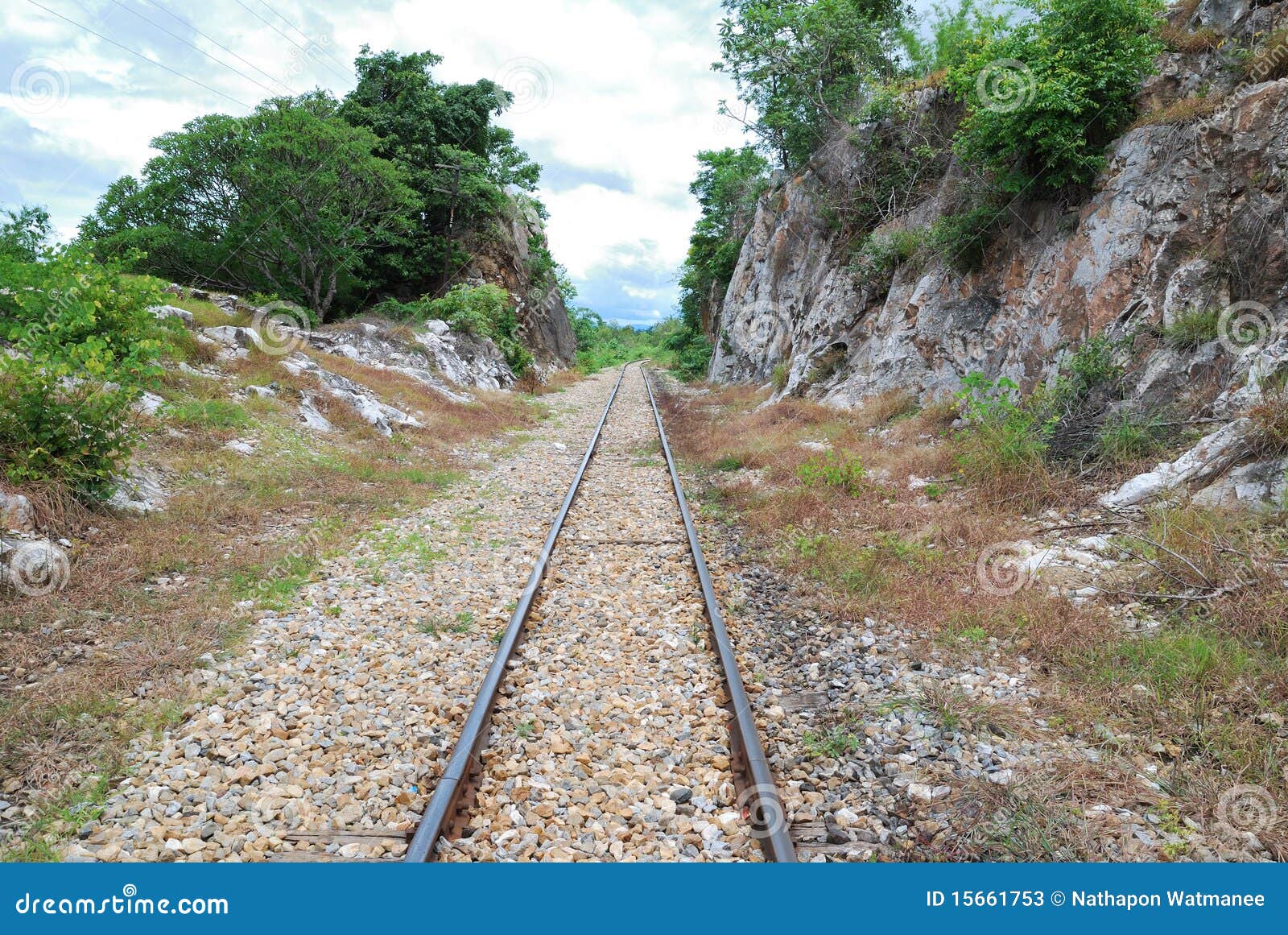Middle way stock image. Image of railway, detail, green - 15661753