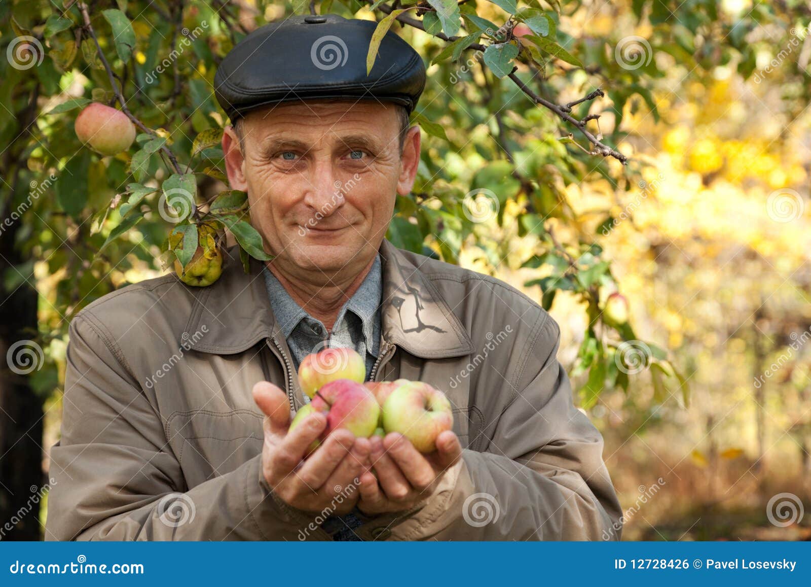 Middleaged Man with Apples Stand Near Apple-tree Stock Photo - Image of ...