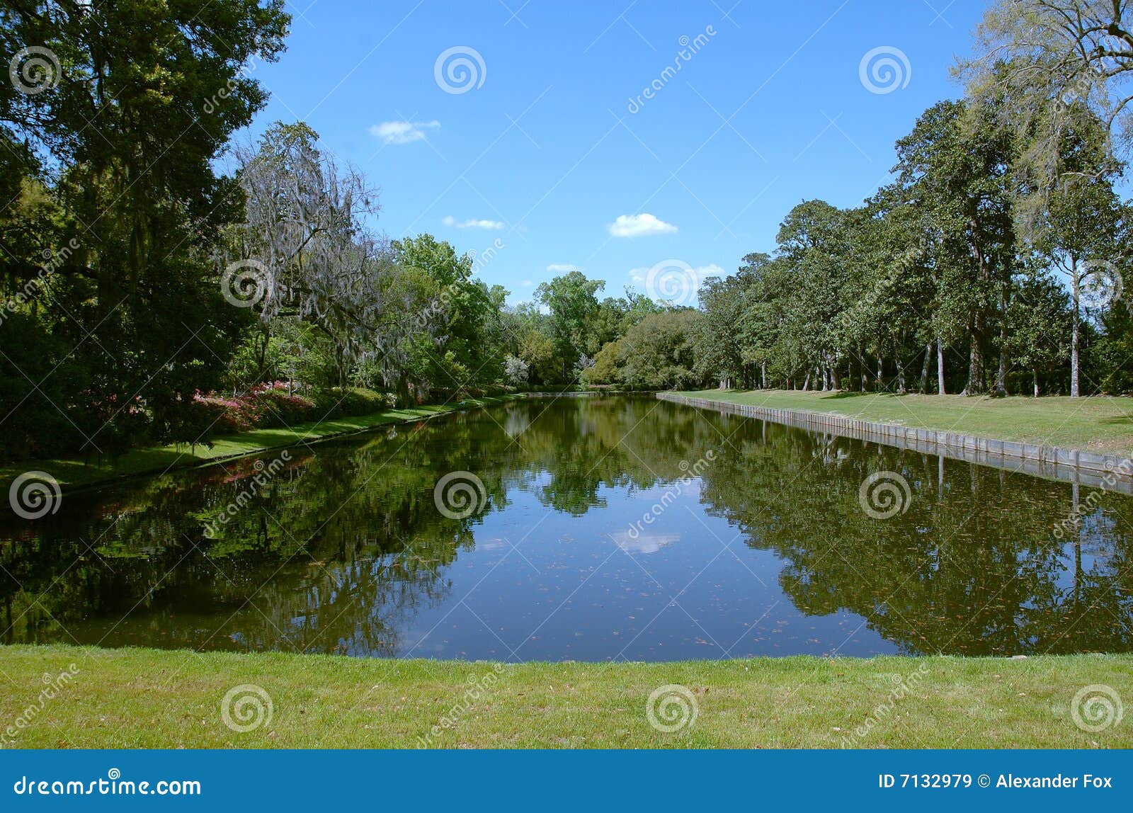 Middleton Place Pond stock image. Image of tourism, waterfront - 7132979
