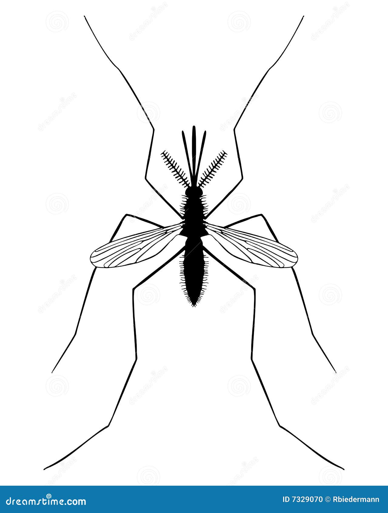 Midge Cartoons, Illustrations & Vector Stock Images - 1951 Pictures to ...