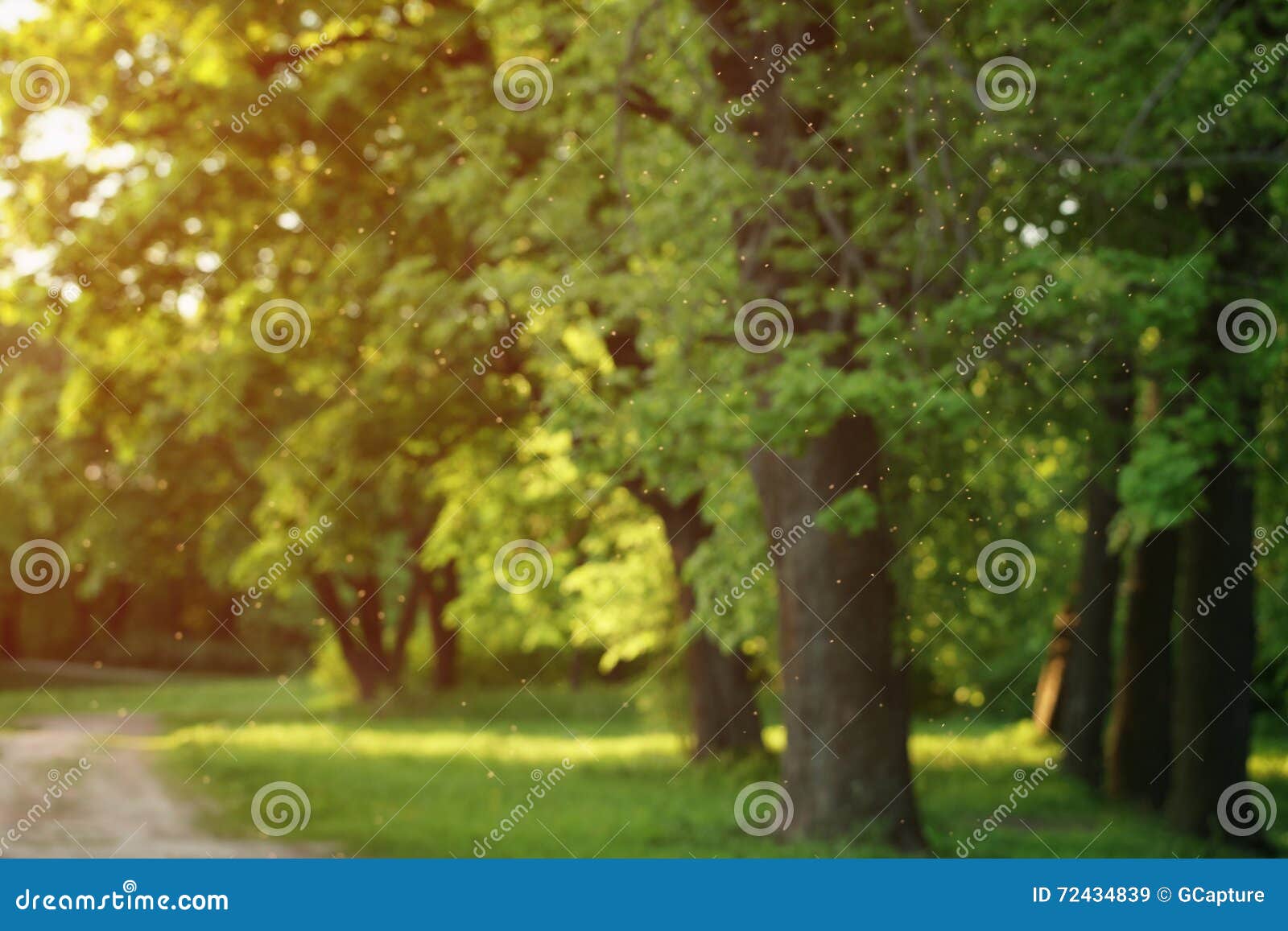 Midge Cloud Stock Photos - Free & Royalty-Free Stock Photos from Dreamstime