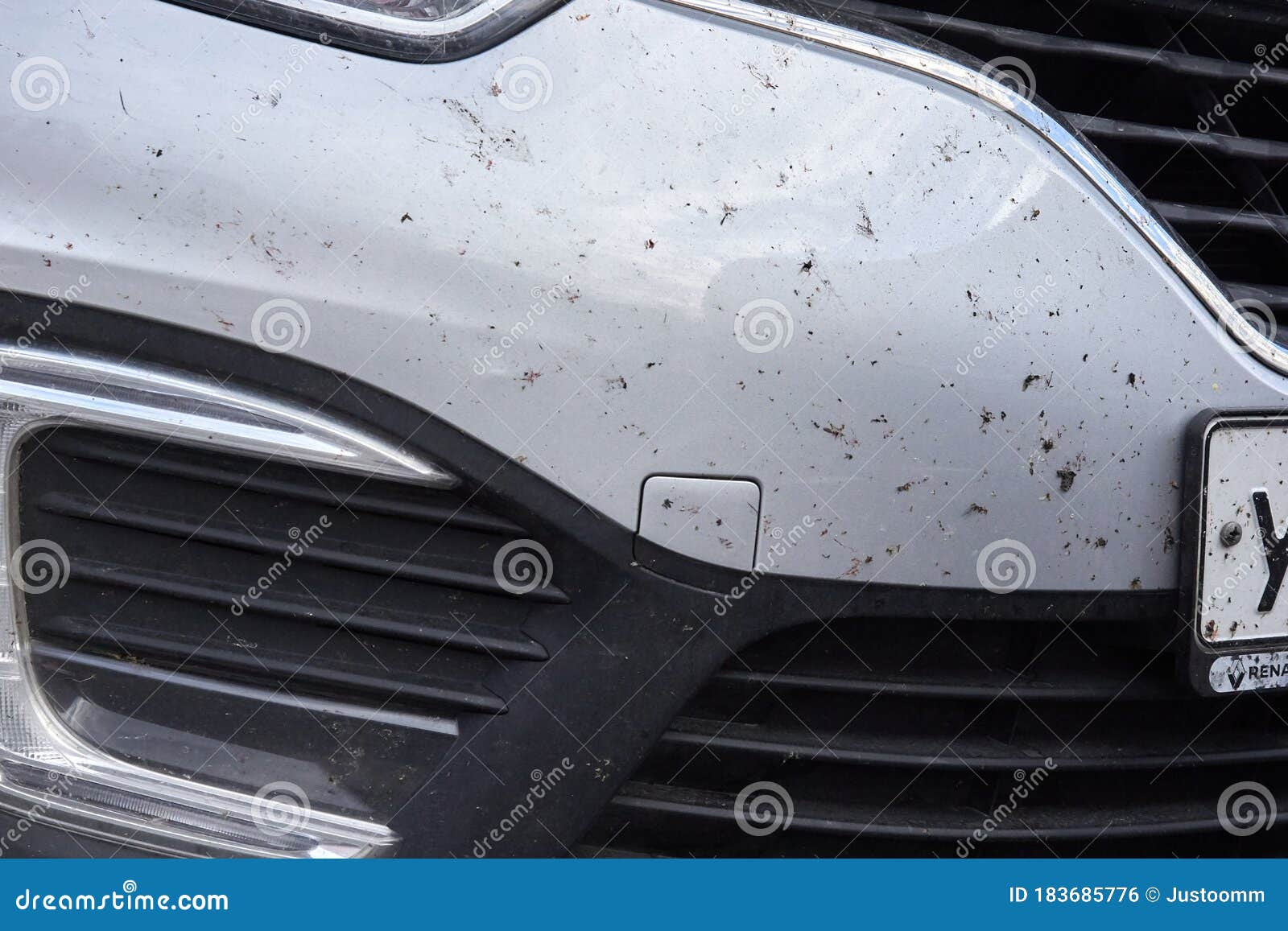 Midges Insects On The Bumper And Hood Of The Car Stock Photo ...