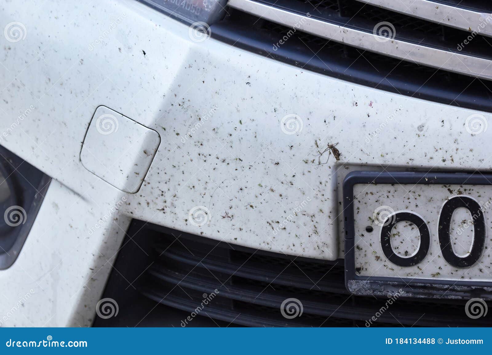 Midges Insects On The Bumper And Hood Of The Car Stock Photo ...