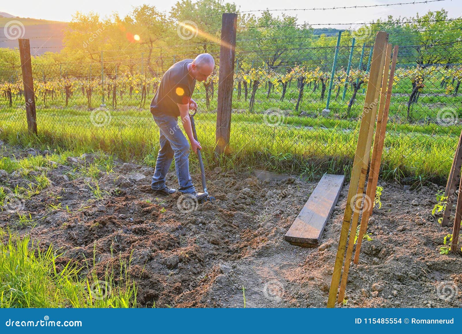 Midle Aged Man Digging Soil with Garden Fork. Gardening and Hobby ...