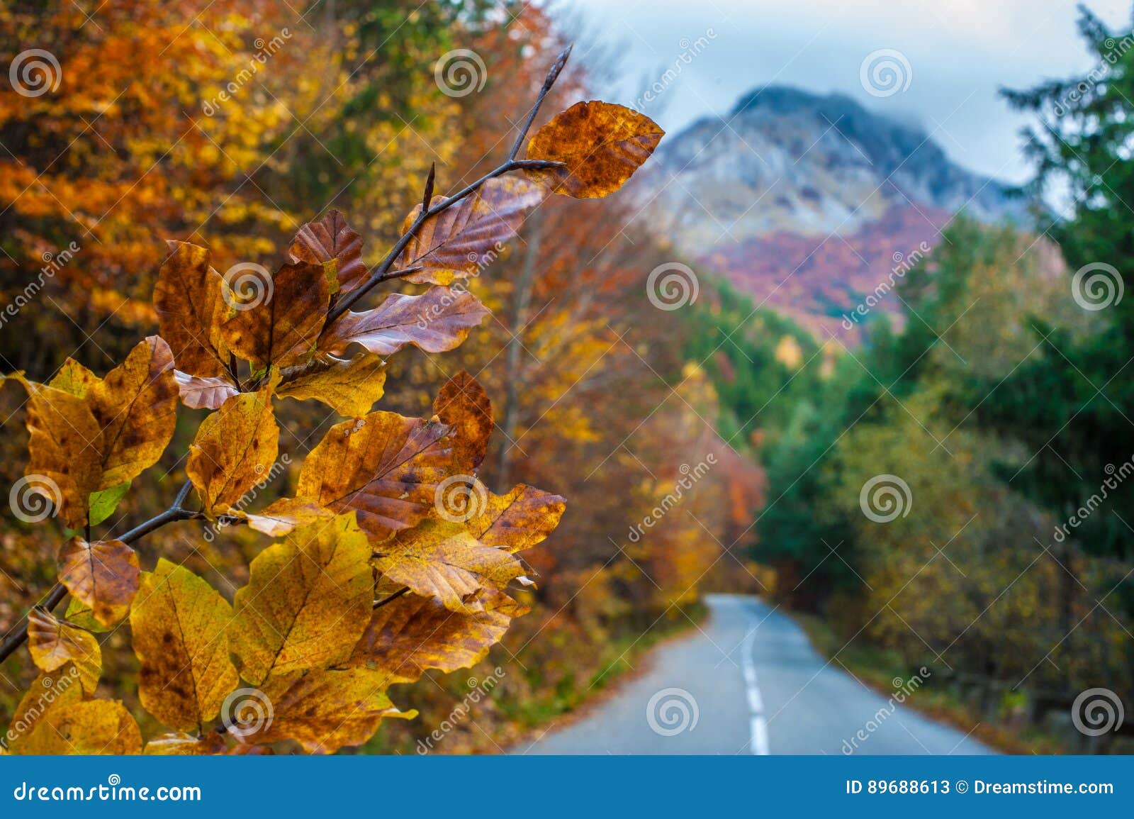 Midlle autom stock image. Image of arrival, middle, monastery - 89688613