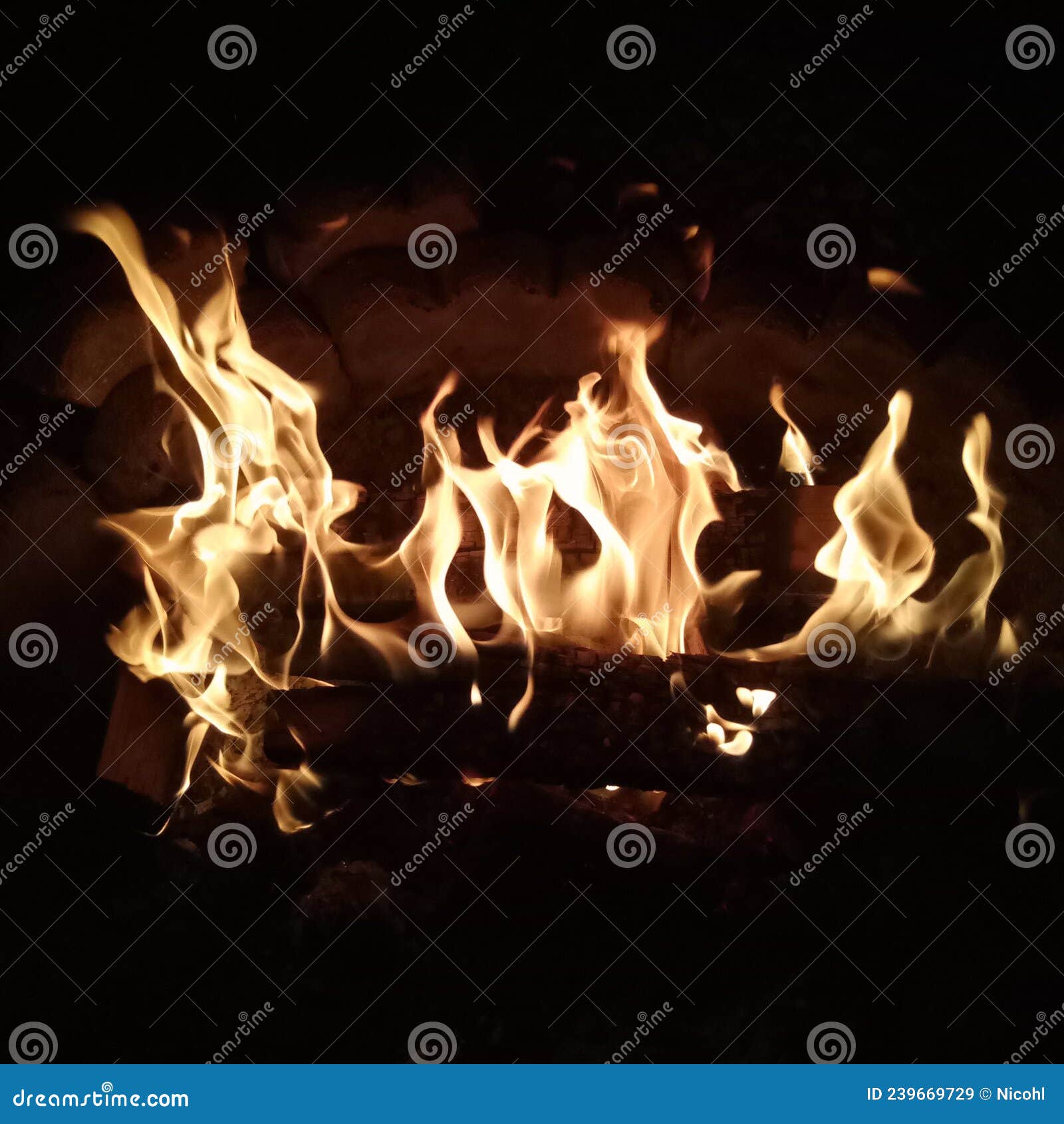 Midnight flames stock image. Image of fire, flame, flames - 239669729