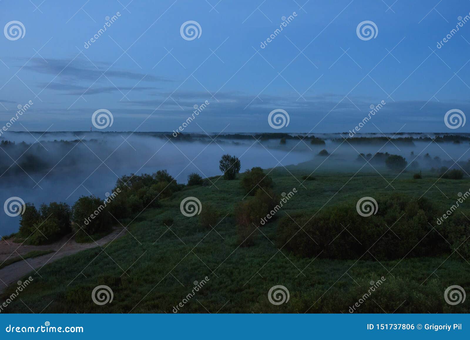 Midnight fog stock photo. Image of clouds, bush, landscape - 151737806