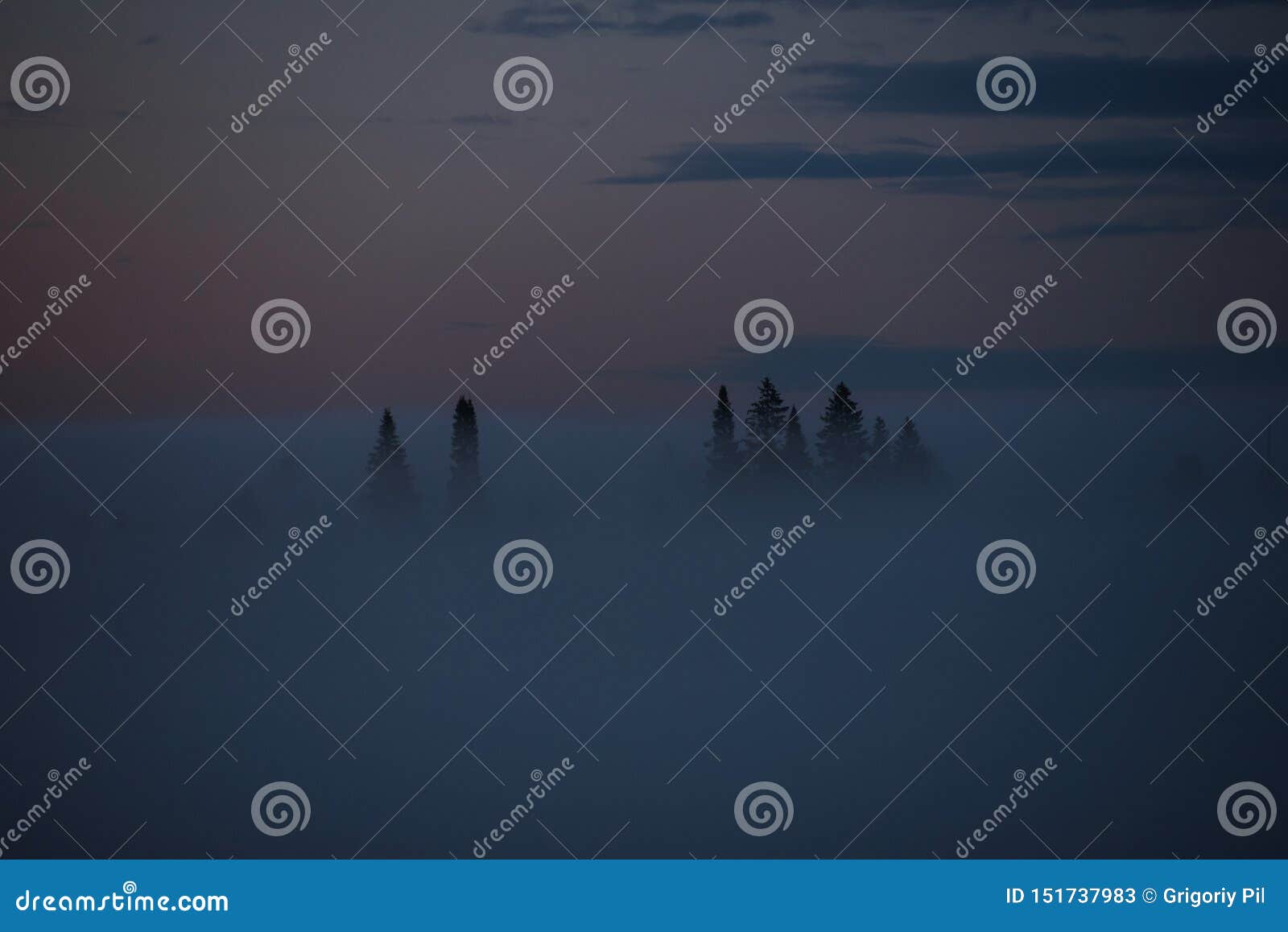 Midnight fog stock image. Image of midnight, natural - 151737983