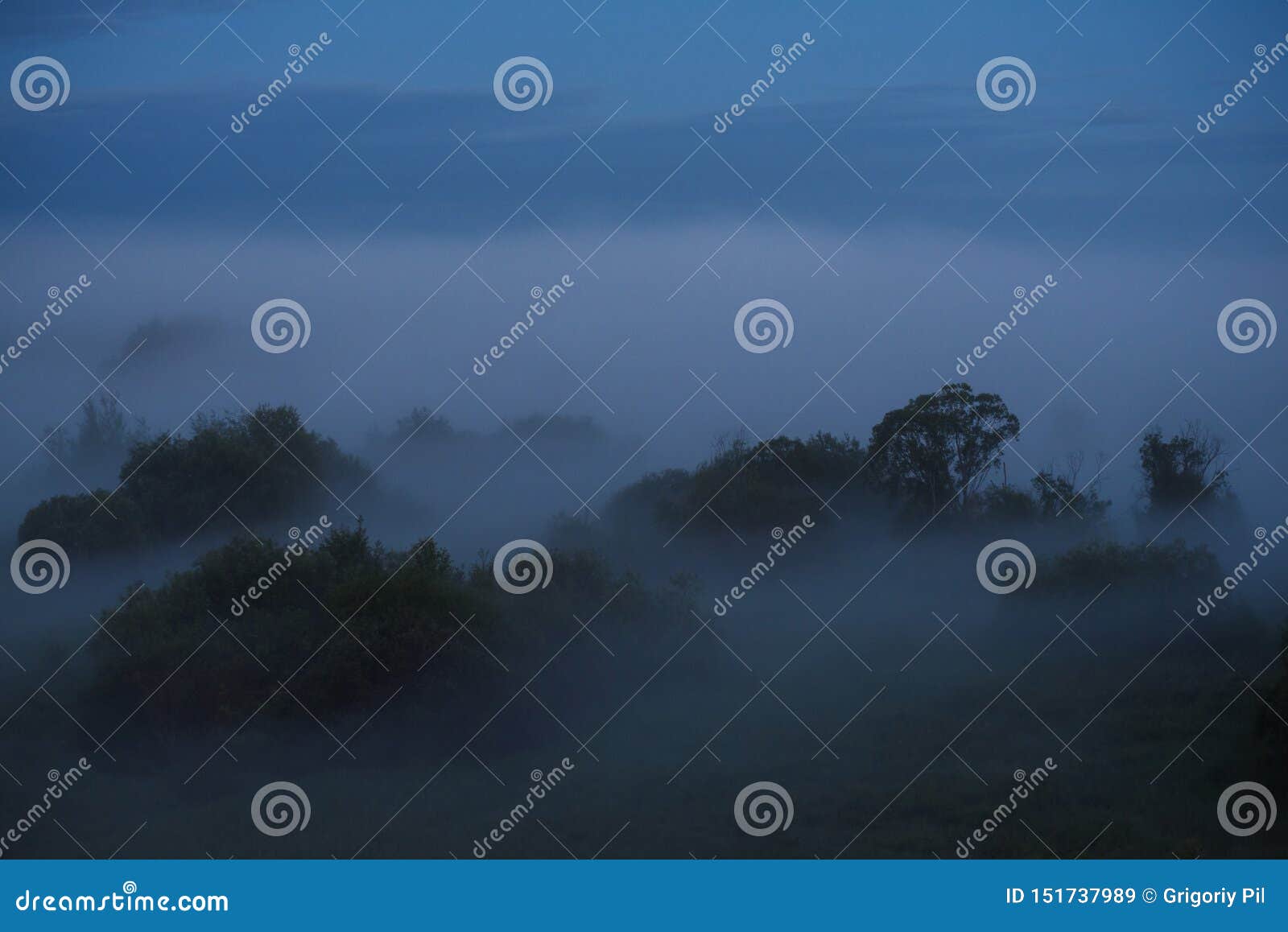 Midnight fog stock image. Image of nature, mist, field - 151737989
