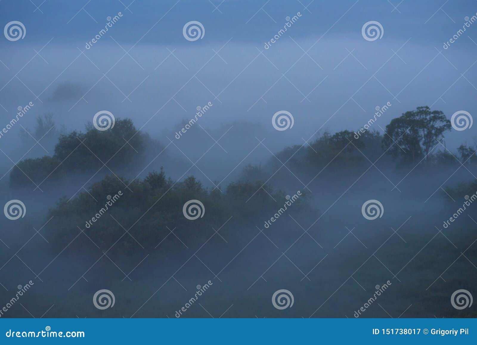 Midnight fog stock image. Image of concept, corn, dark - 151738017