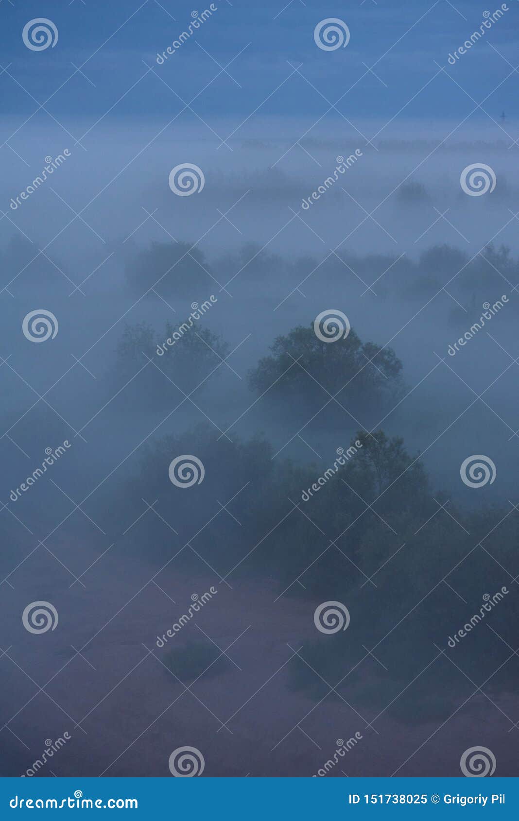 Midnight fog stock image. Image of blossom, foggy, mountain - 151738025
