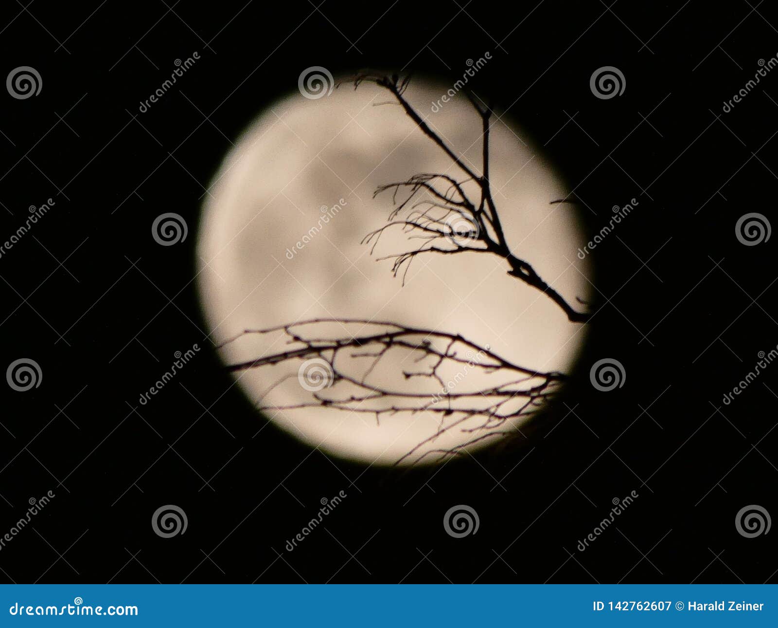 Midnight full moon stock image. Image of full, midnight - 142762607